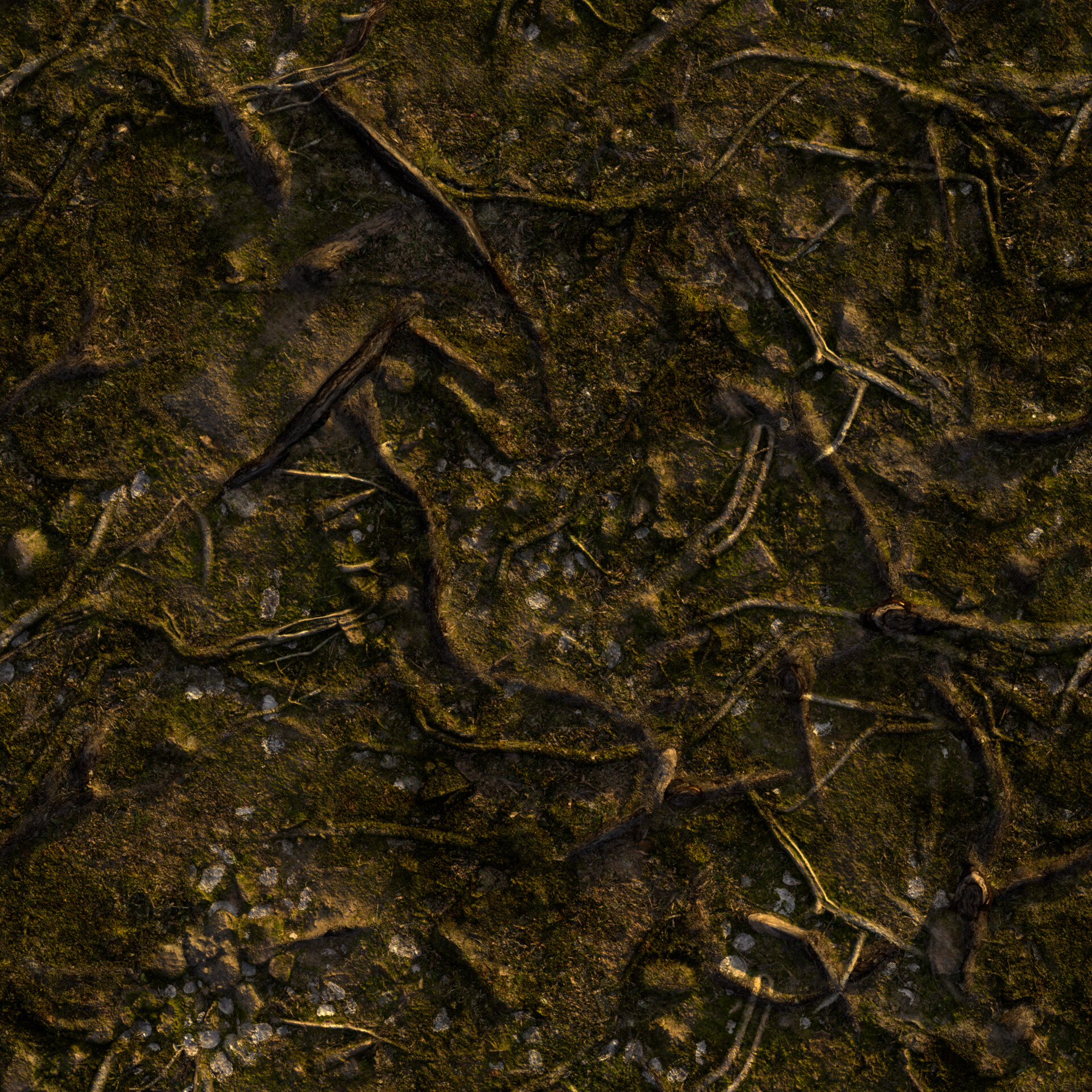 John Rettig - Custom Materials 'Overgrown Ancient Floors'