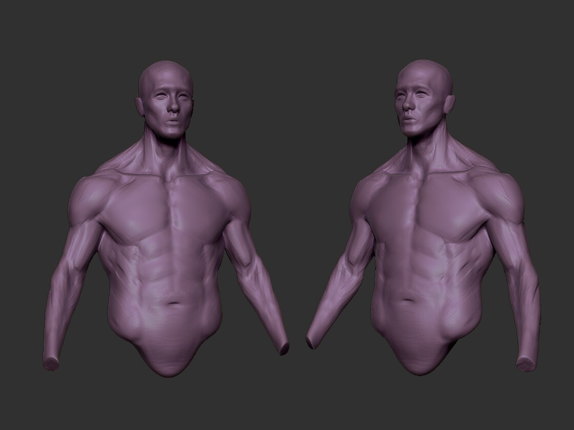dotsource 3d - Male Anatomy