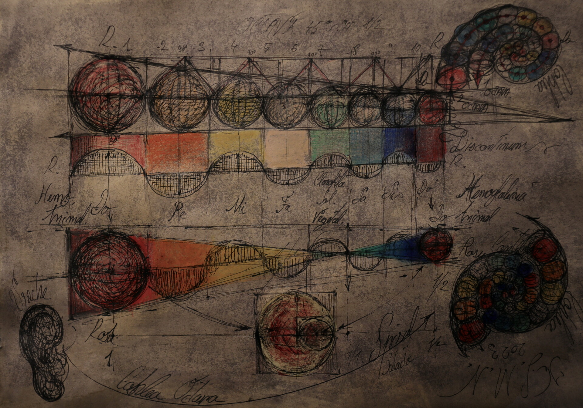 ArtStation - Octave sympathetic vibration