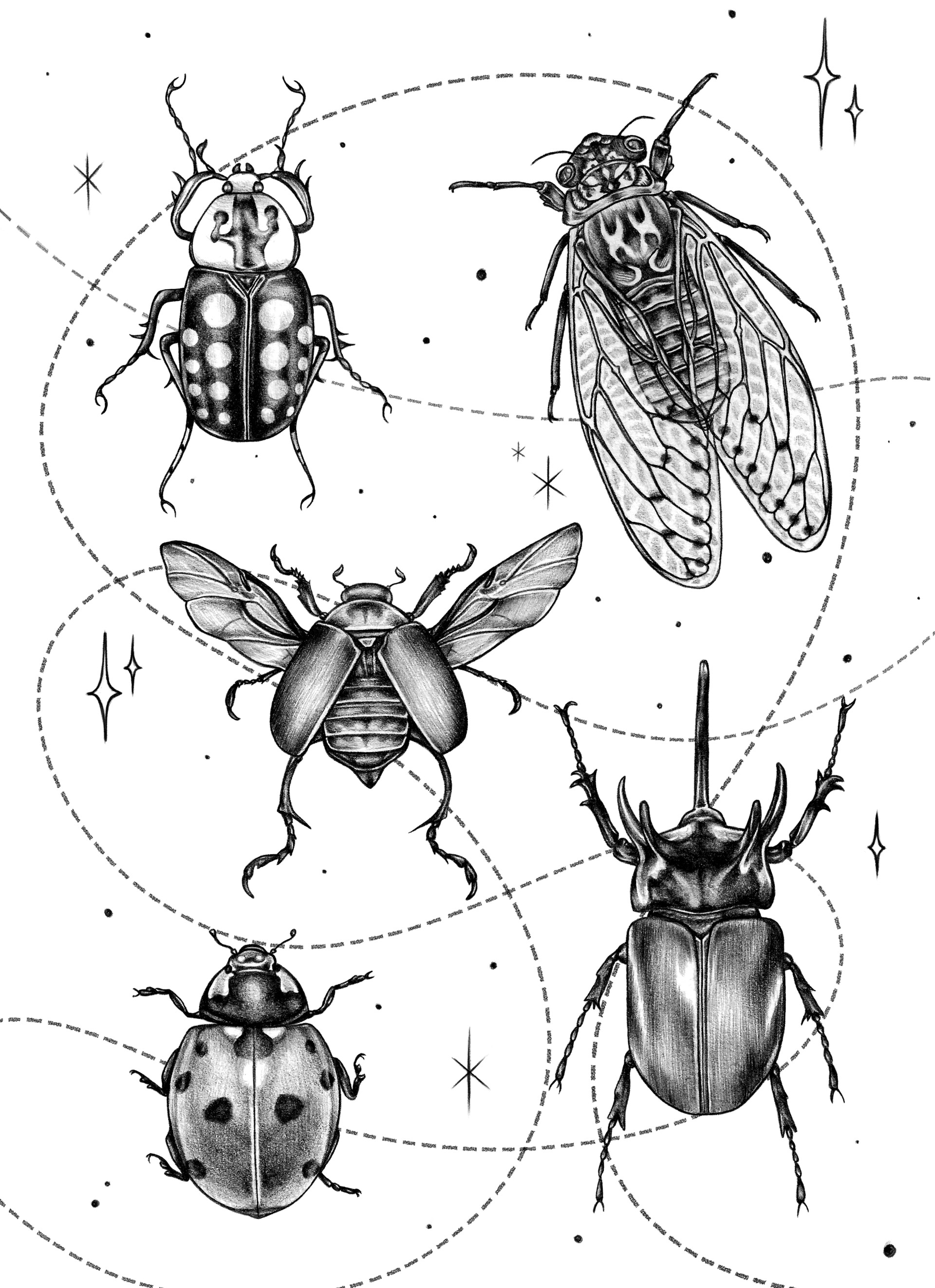 ArtStation - Insects Poster