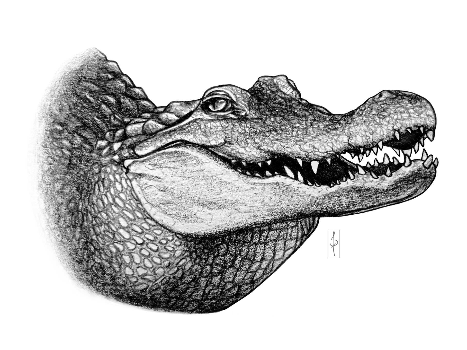 ArtStation - Crocodile portrait study