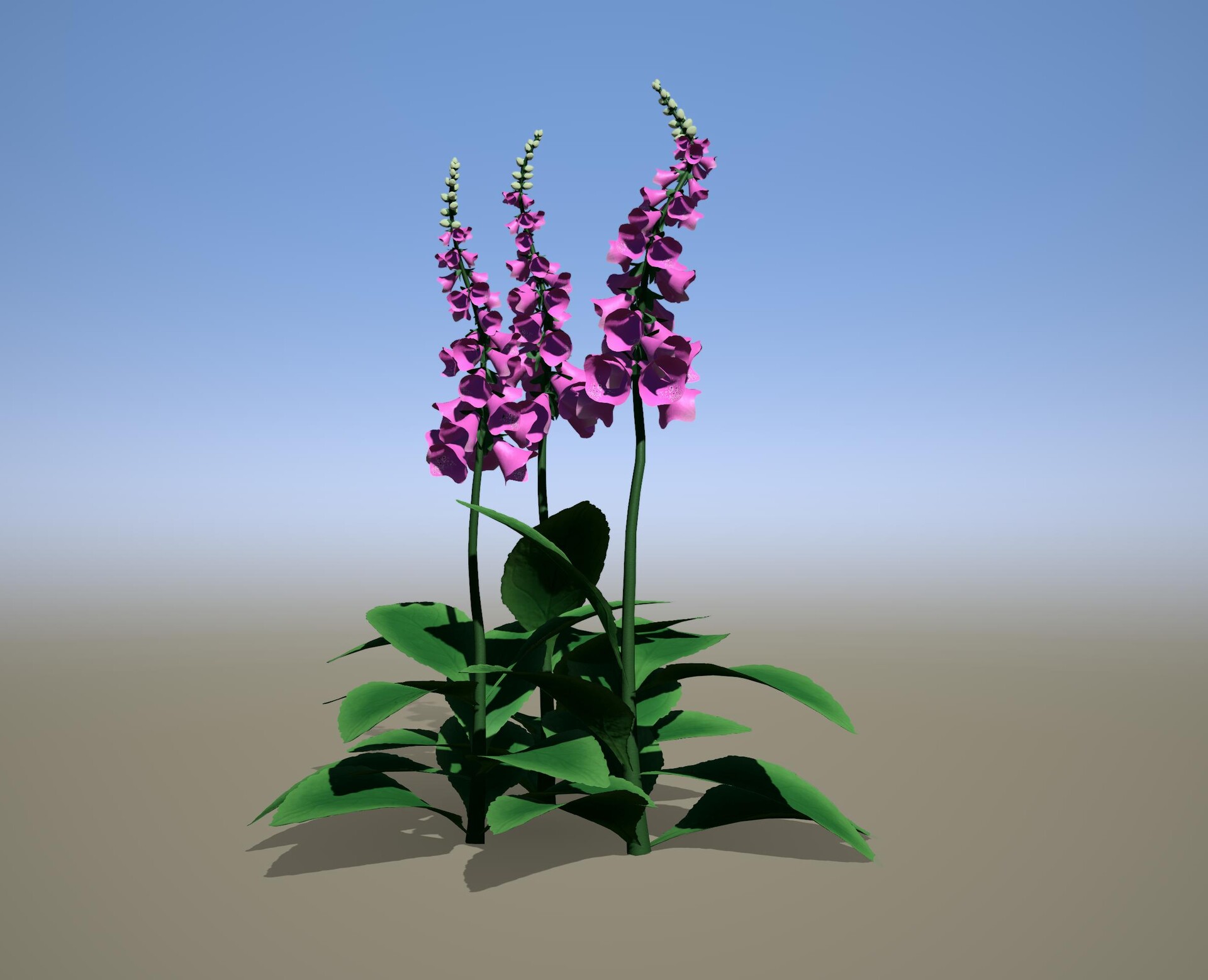 ArtStation - Foxglove