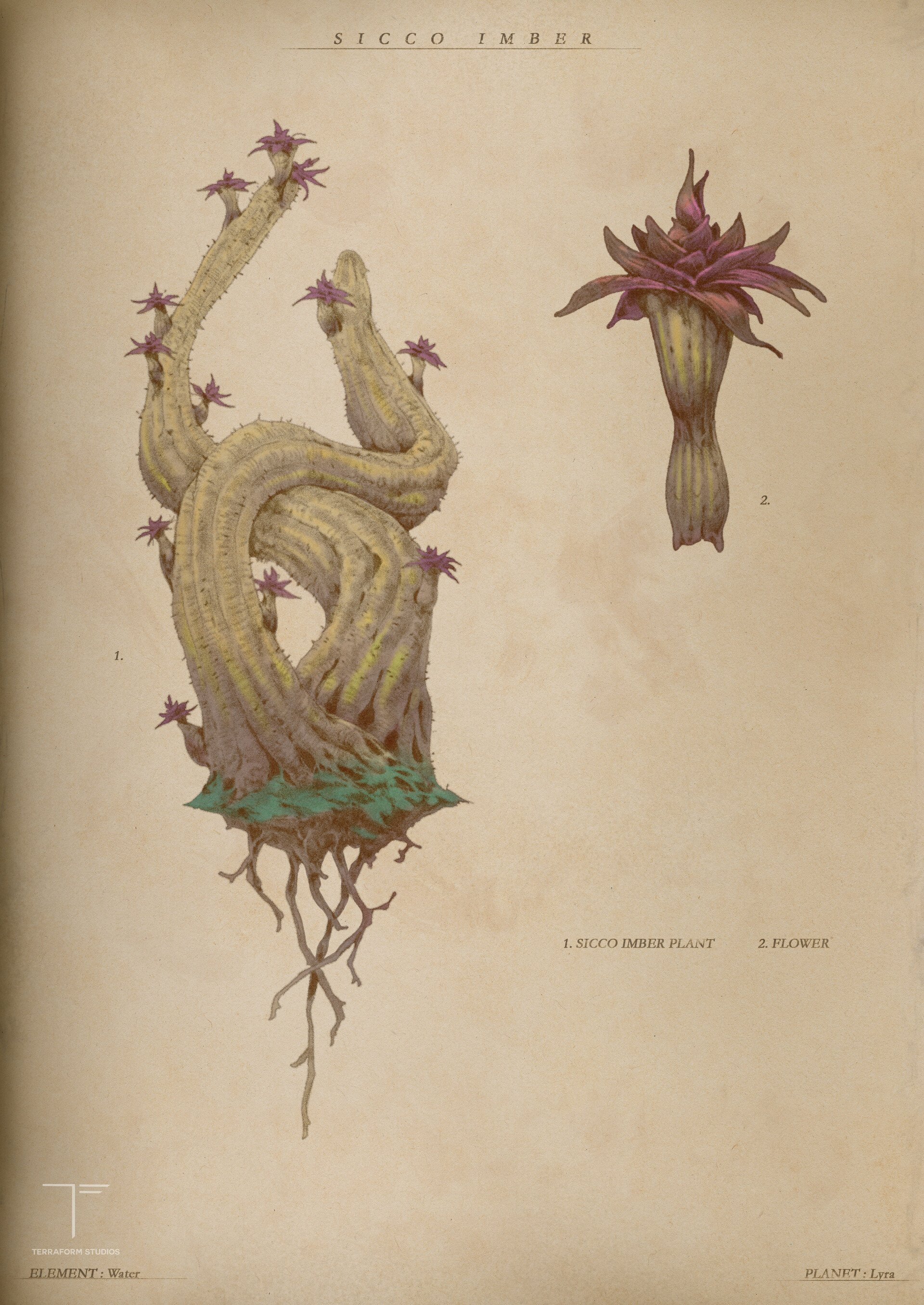 Terraform Studios - Alien Flora
