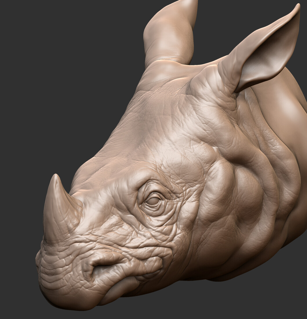 ArtStation - How to sculpt wrinkles of animals
