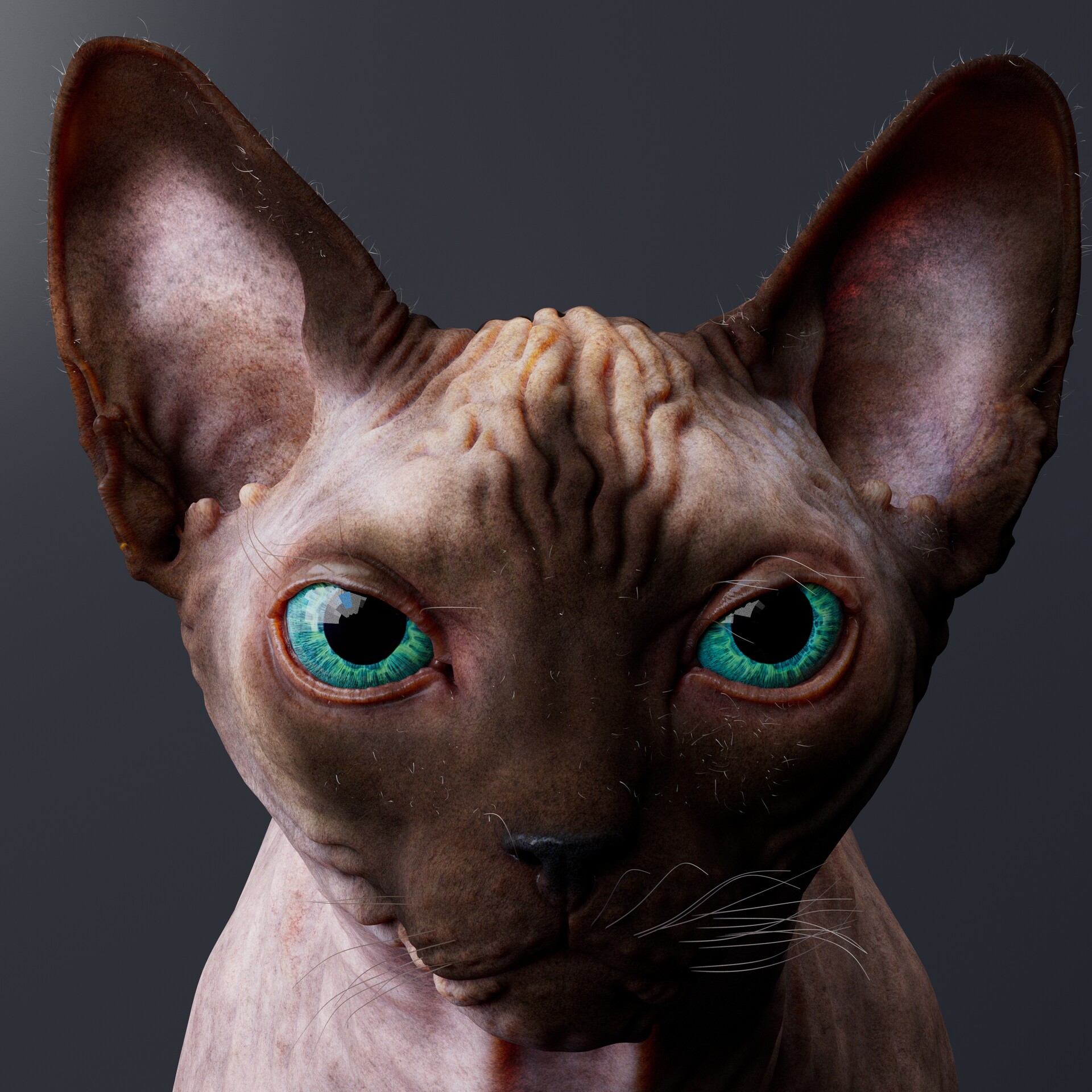 ArtStation - Sphynx cat texturing