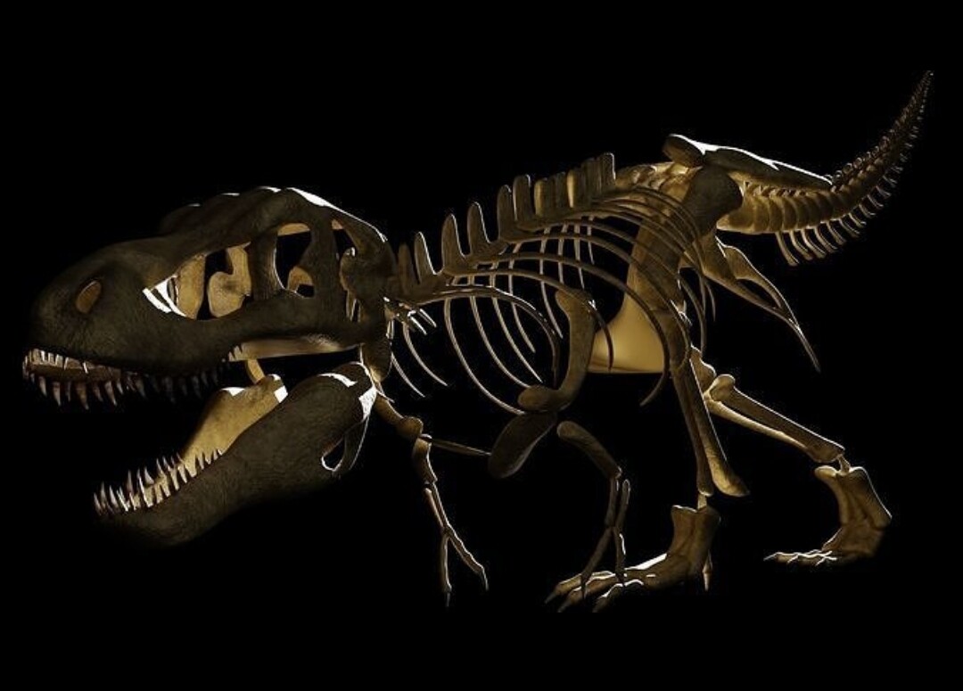 ArtStation - T-REX SKELETON