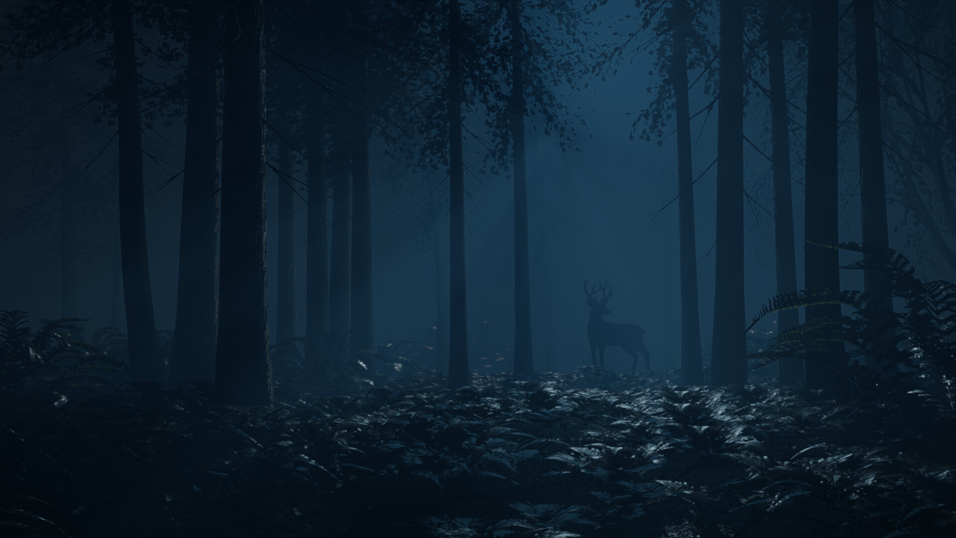 Dark Moonlit Forest