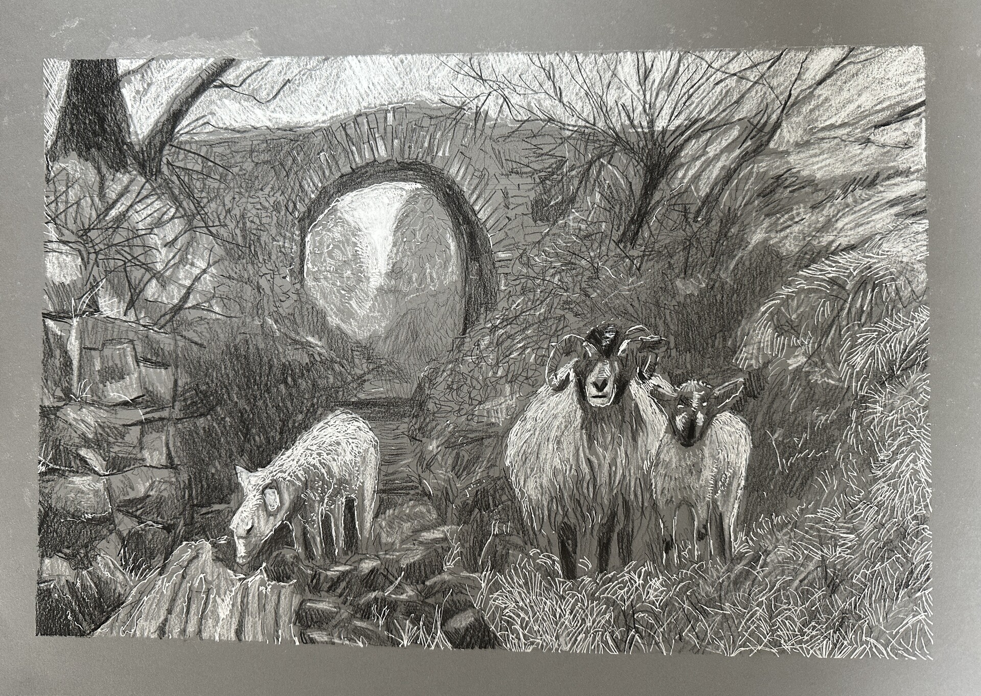 ArtStation - Sketch 5, Spring,