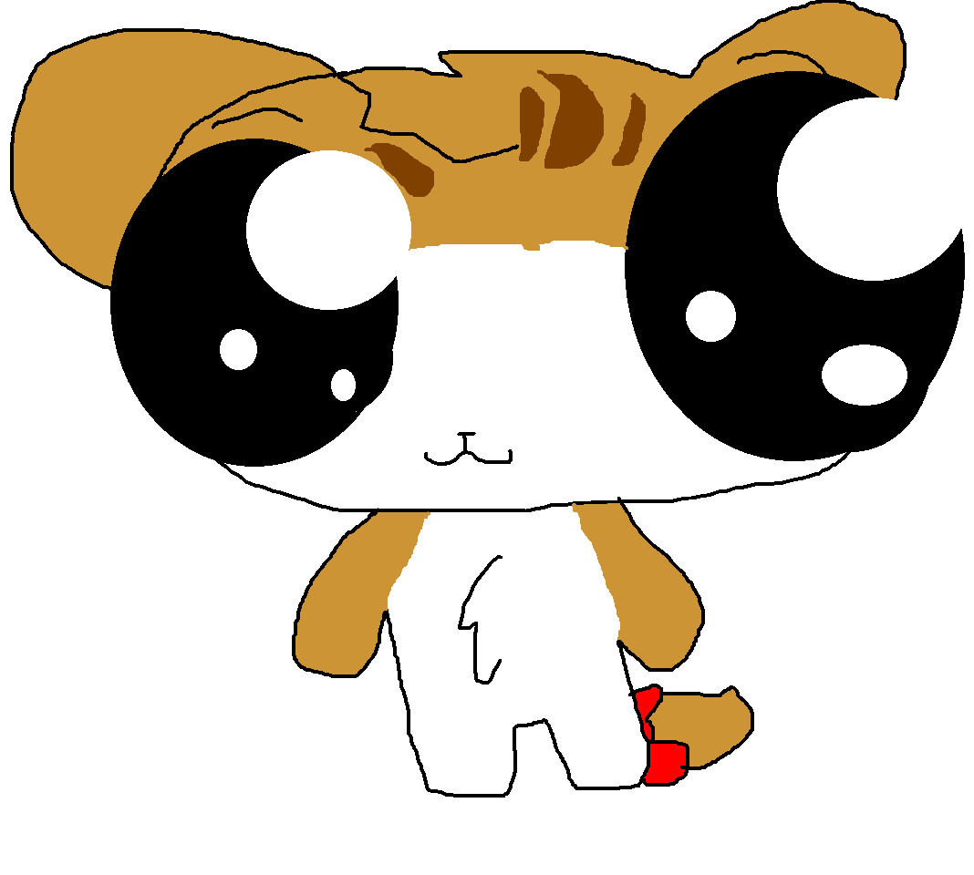 hamtaro sandy