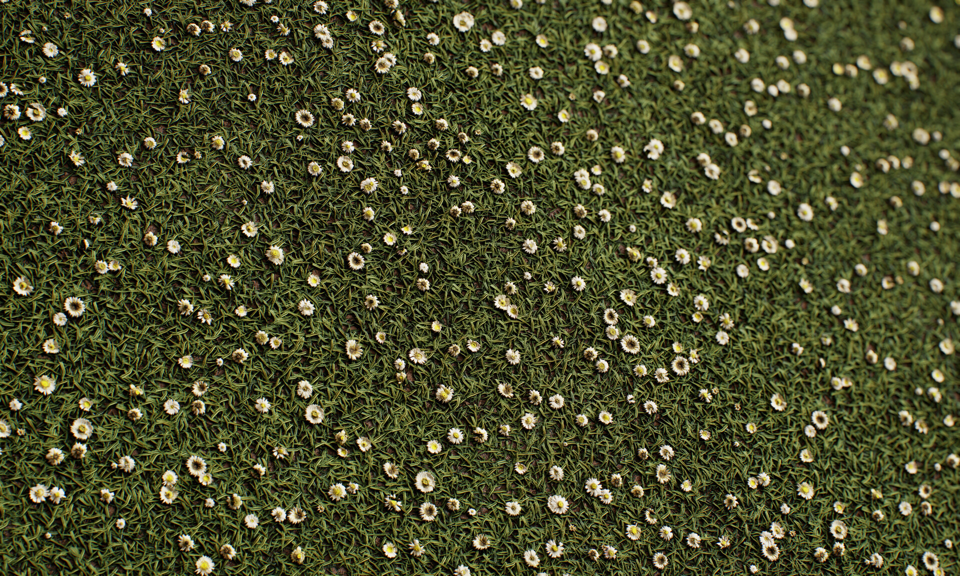 Zahra.3D - Grass Generator-10 Grass Materials (Textures + 1 SBSAR)