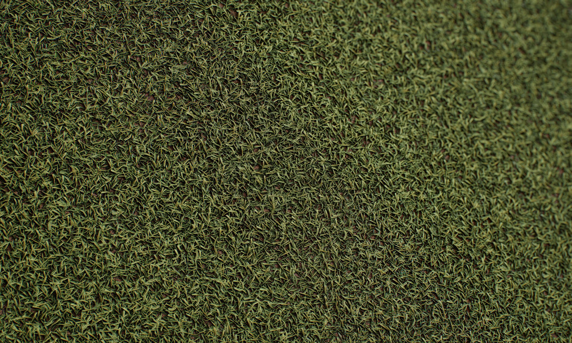 Zahra.3D - Grass Generator-10 Grass Materials (Textures + 1 SBSAR)