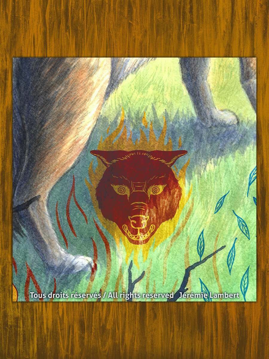 Jérémie Lambert - Eurasian wolf