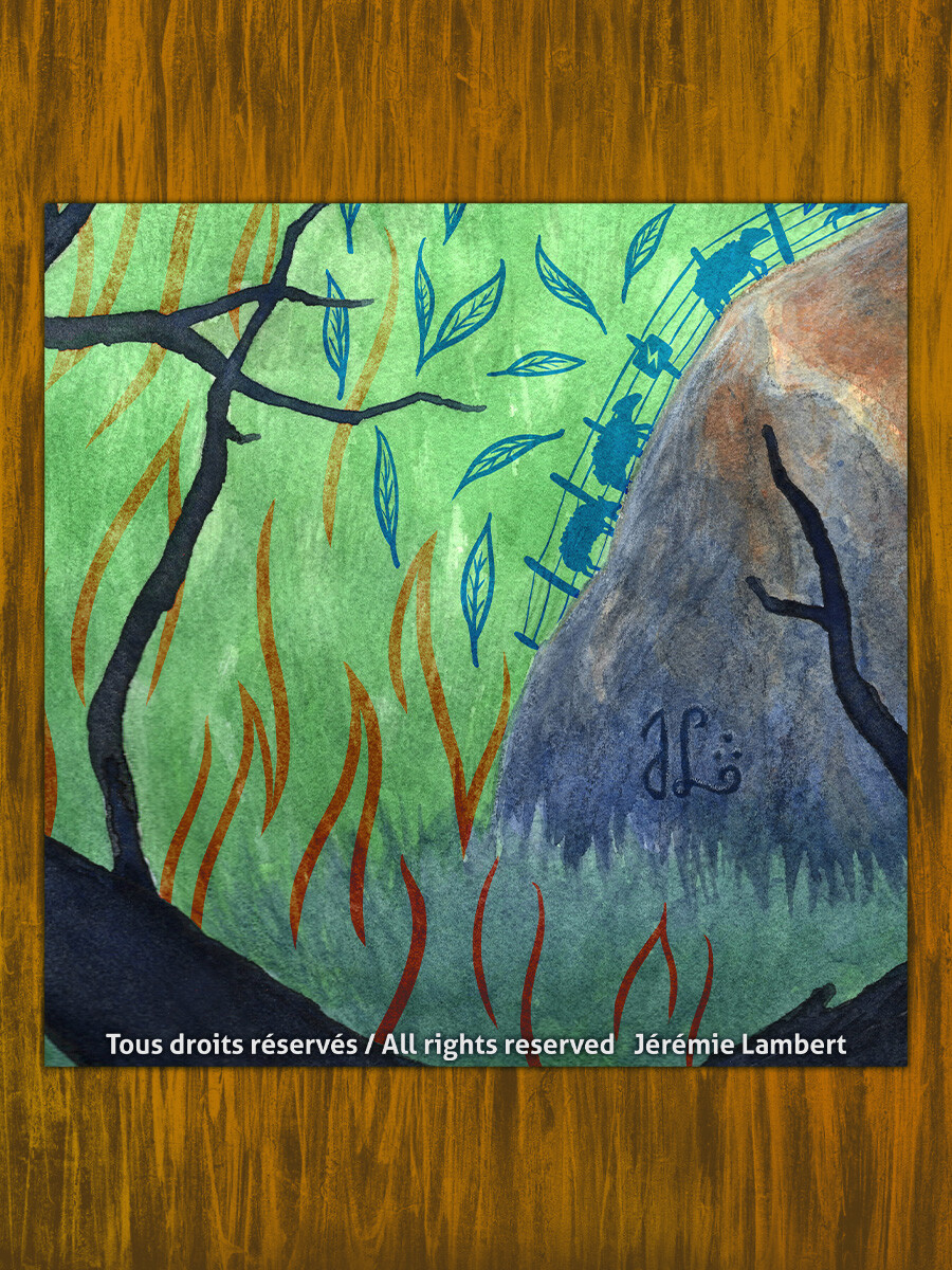 Jérémie Lambert - Eurasian wolf