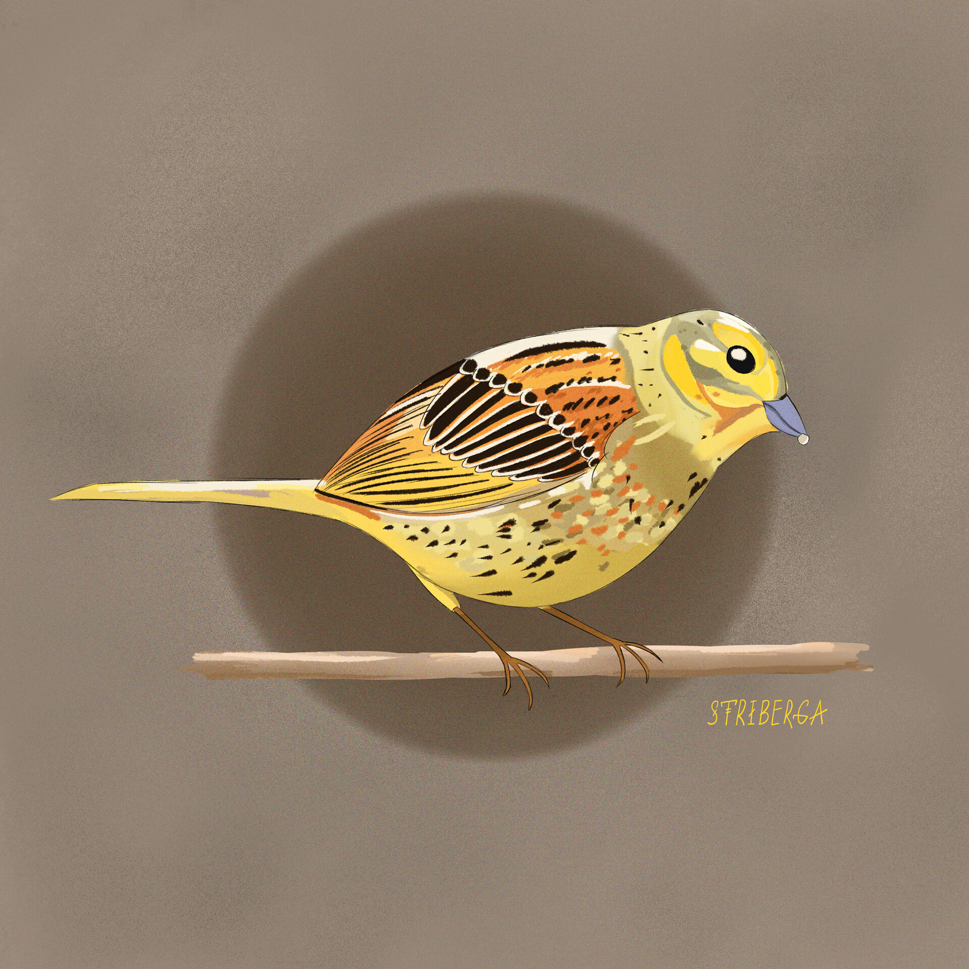 ArtStation - Yellowhammer bird