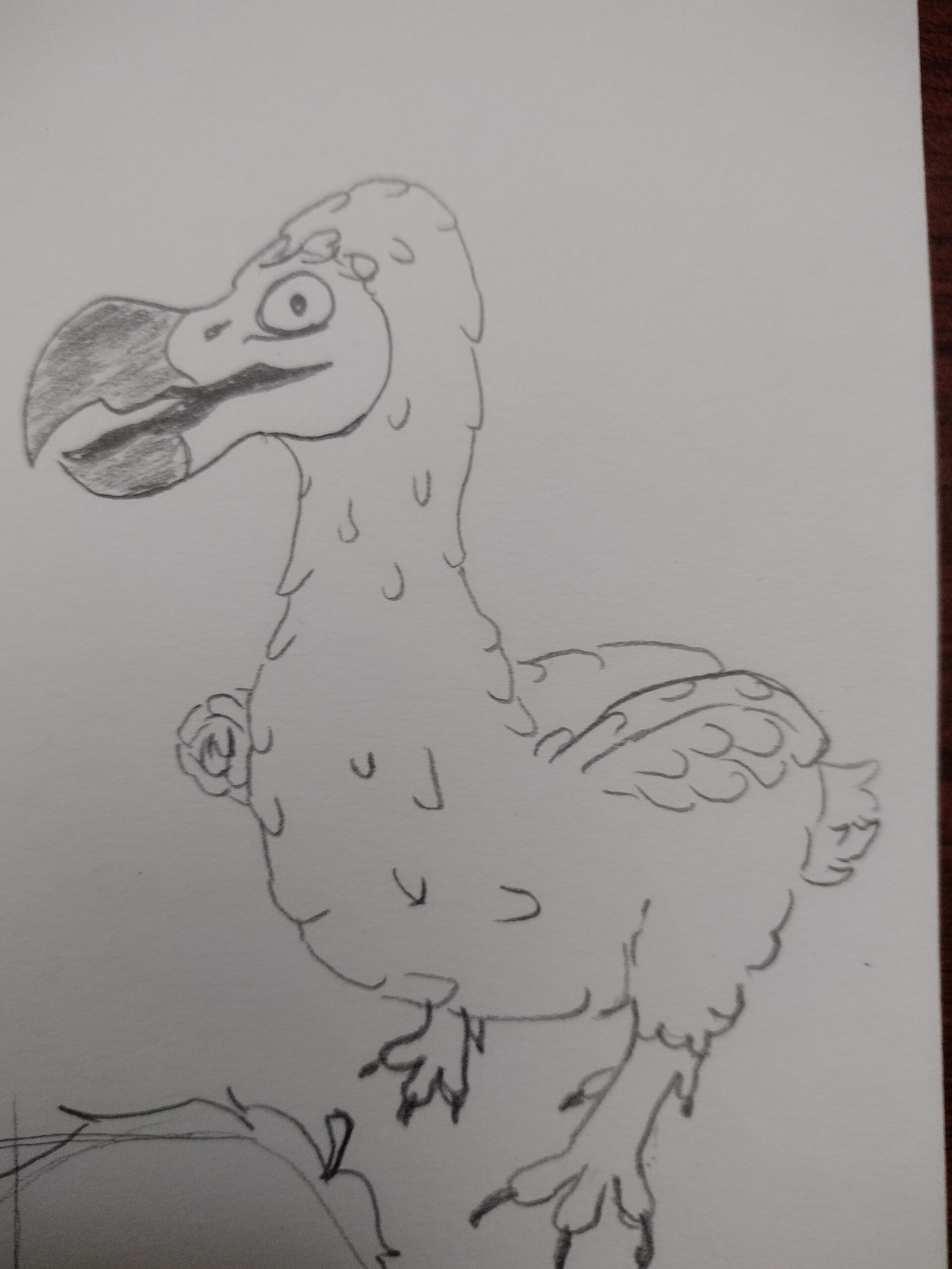 ArtStation - dodo bird