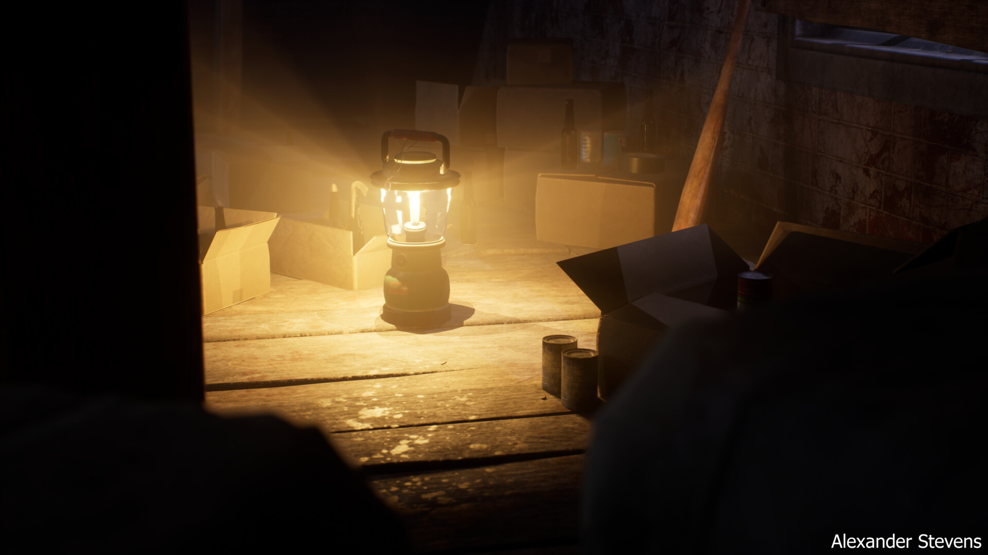 Alexander Stevens - Attic Hideout