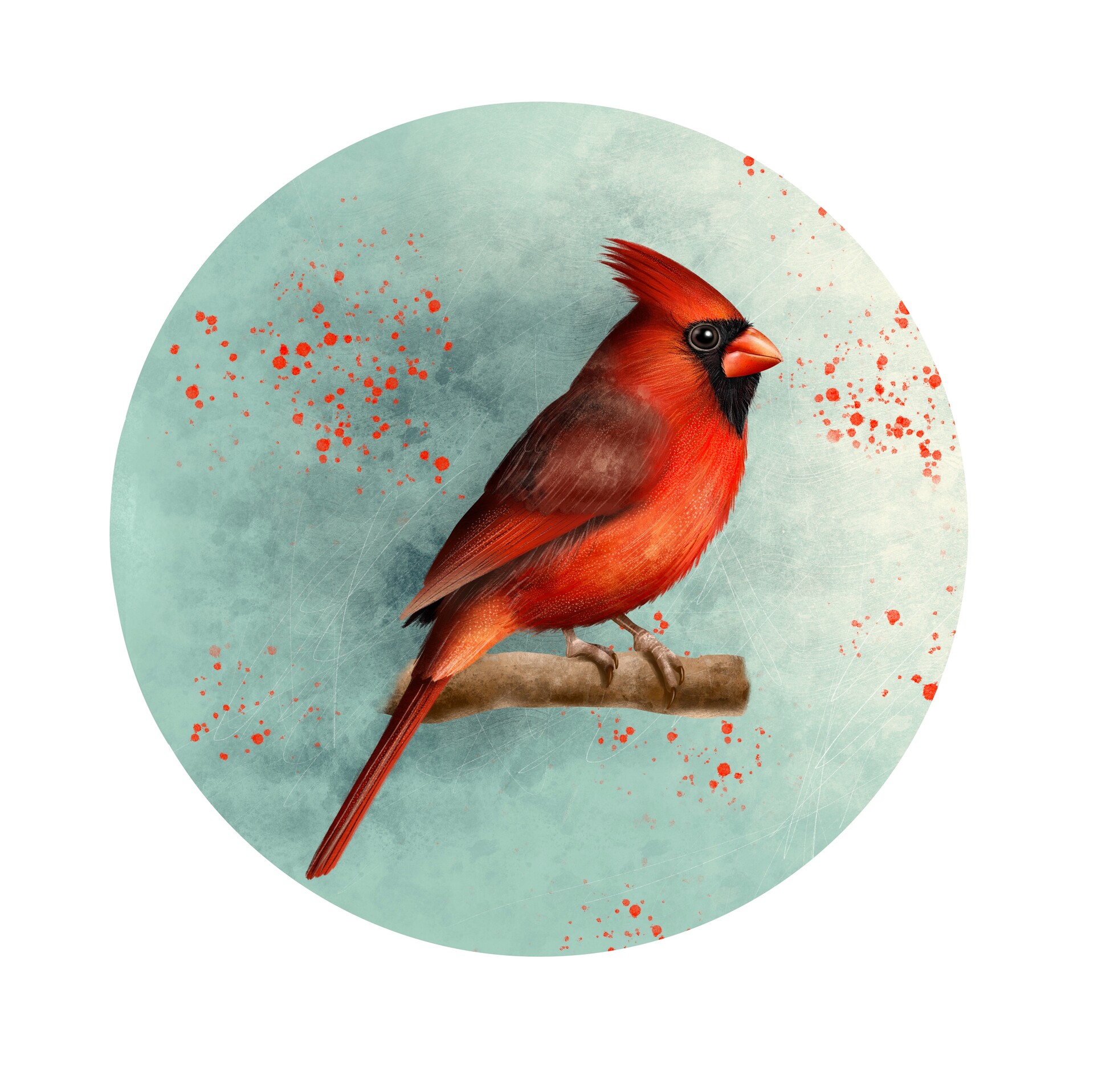 ArtStation - Northern Cardinal