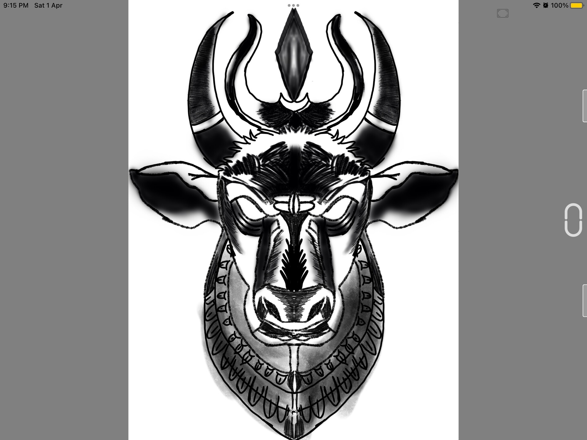 Philippine Tamaraw Drawing