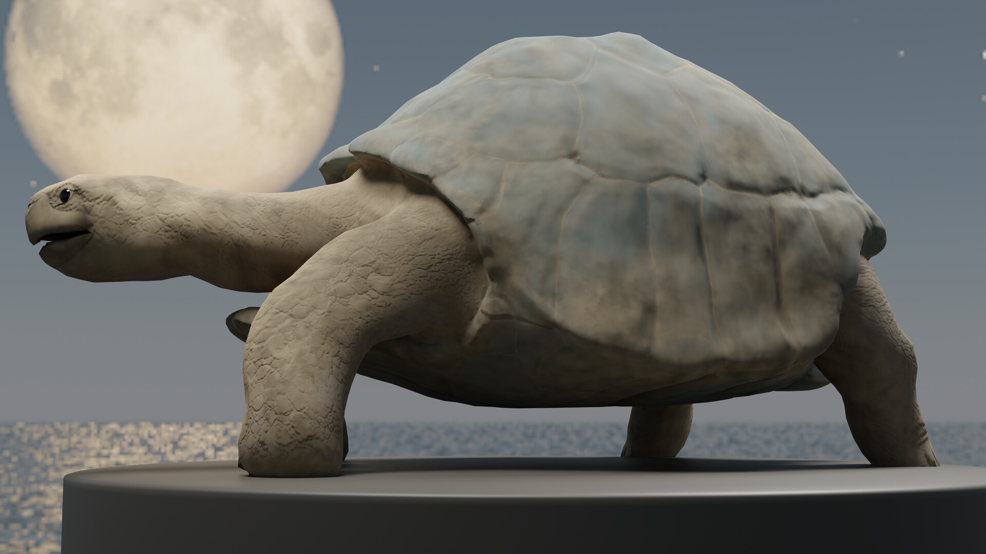 ArtStation - Howard the Turtle