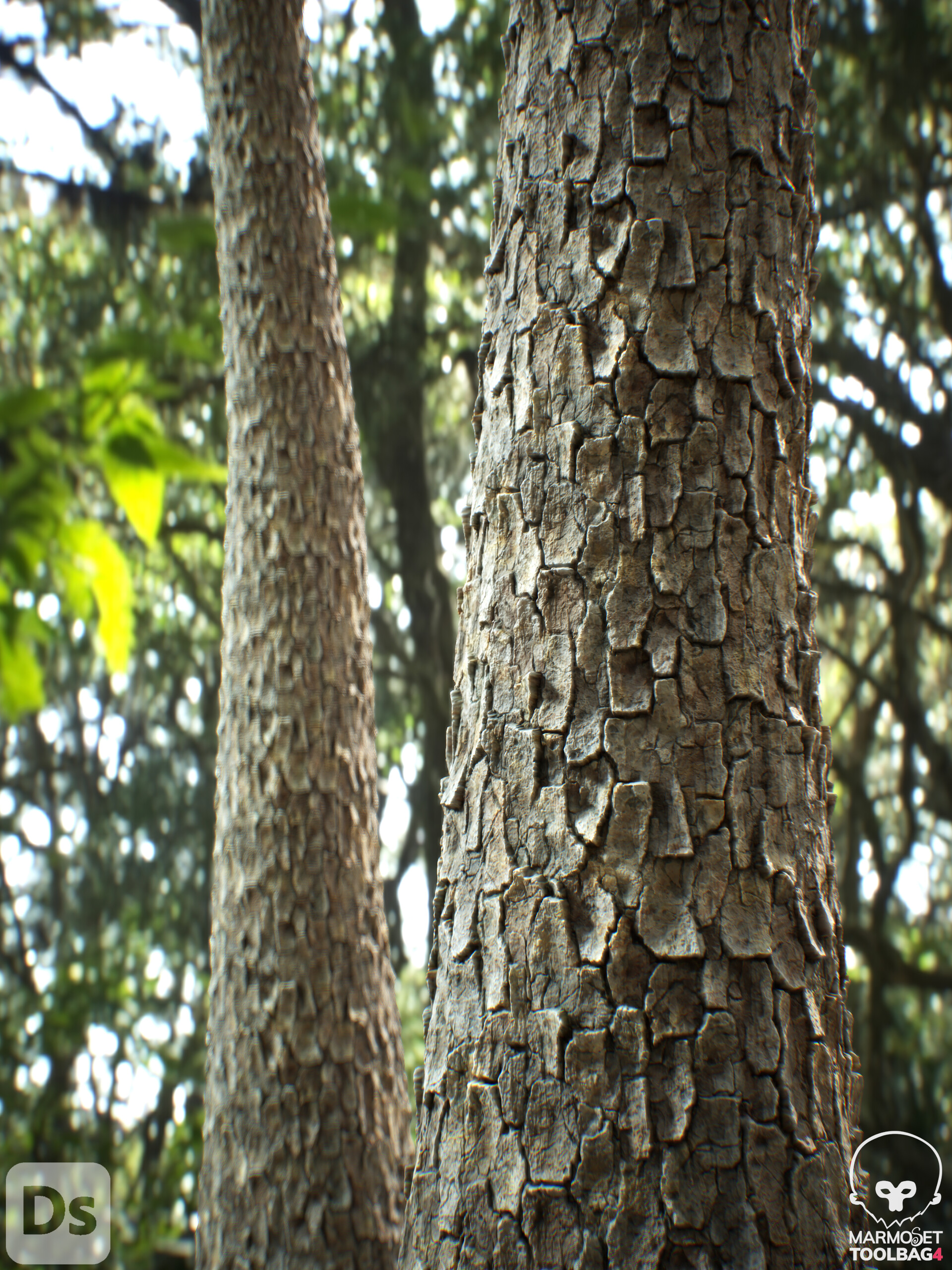 ArtStation - pine bark