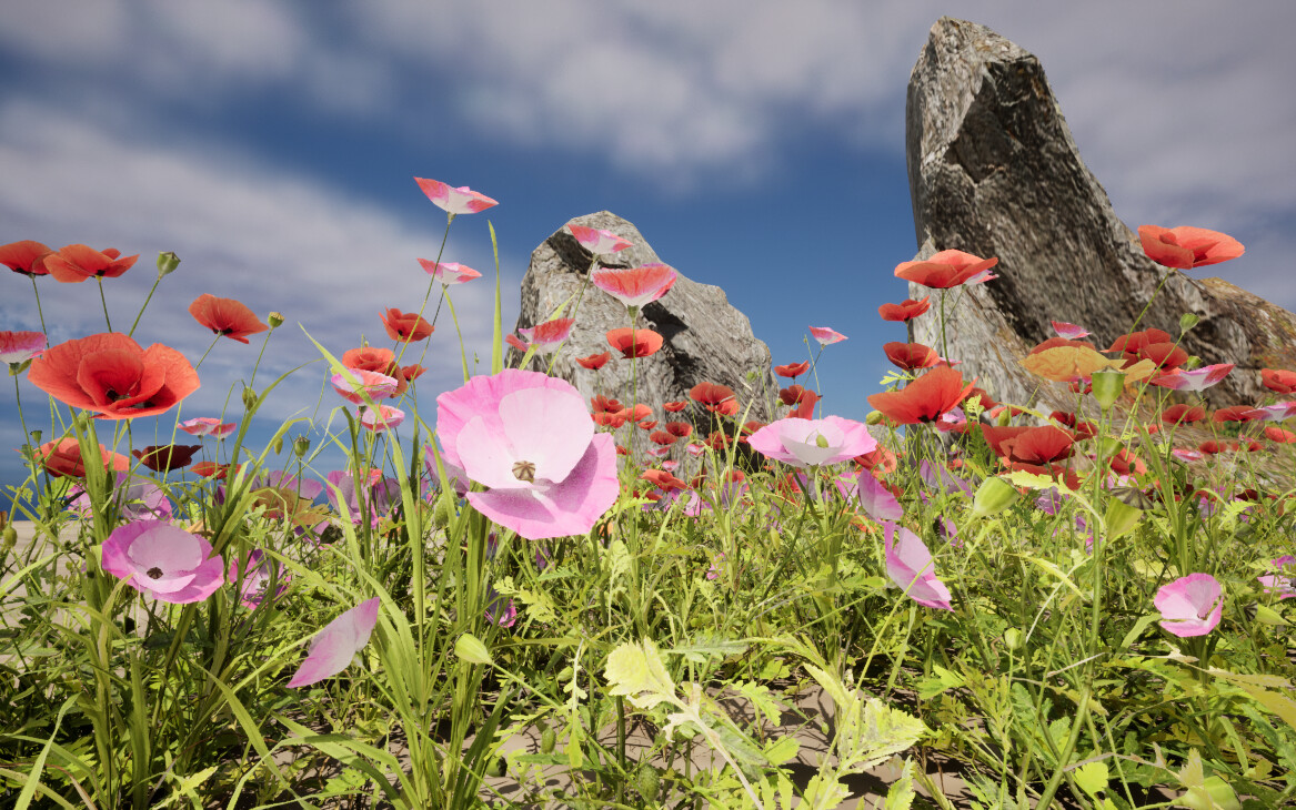 ArtStation - Scene Setup - Island Scene