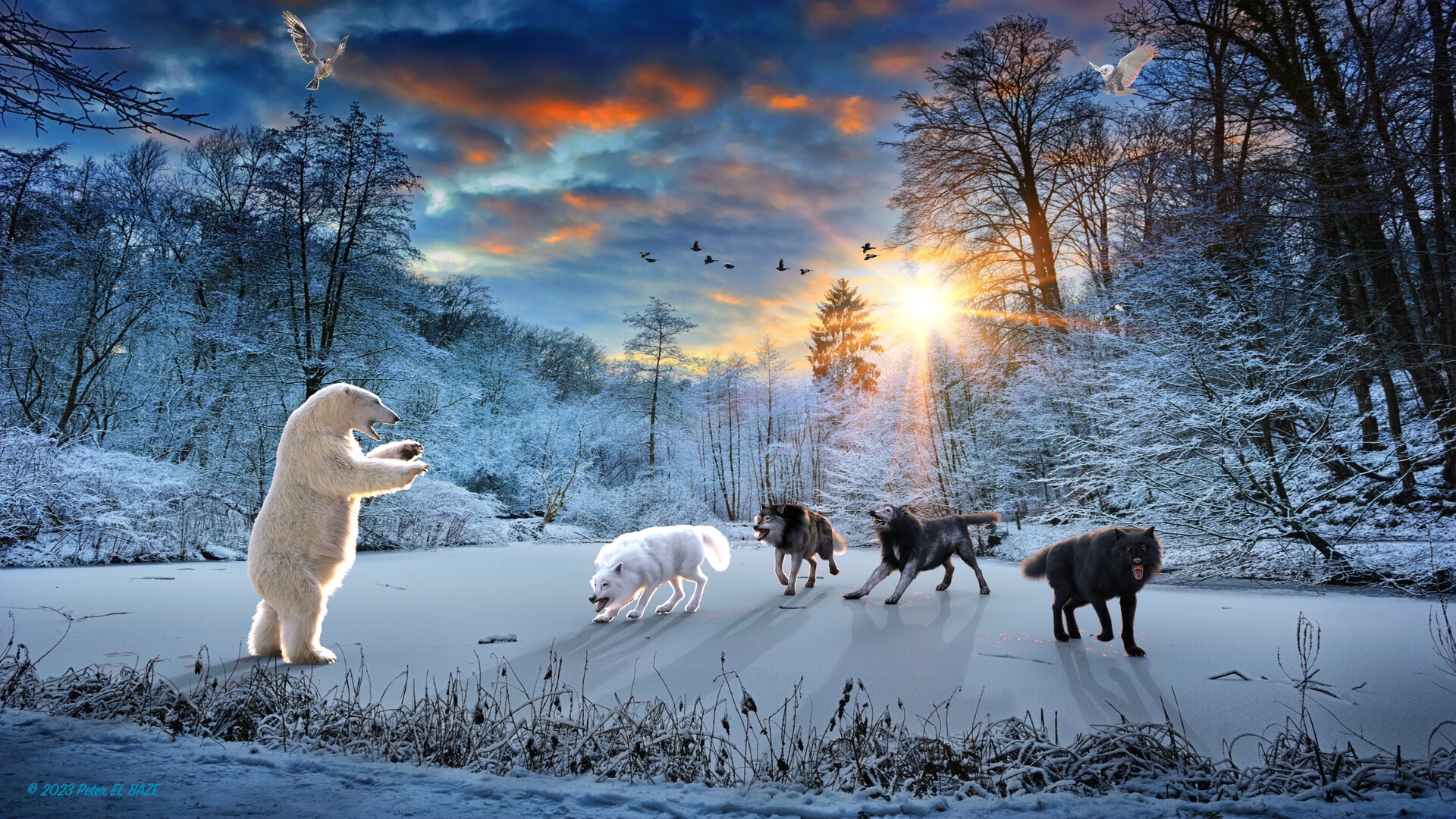 ArtStation - Bear and wolves