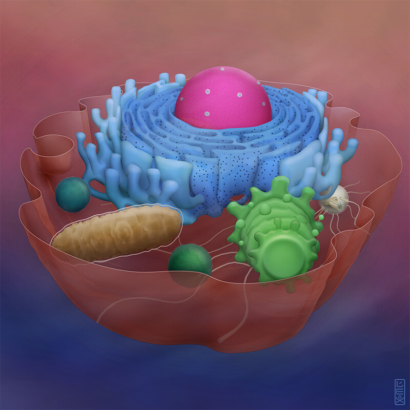 ArtStation - Eukaryotic cell, Intersection