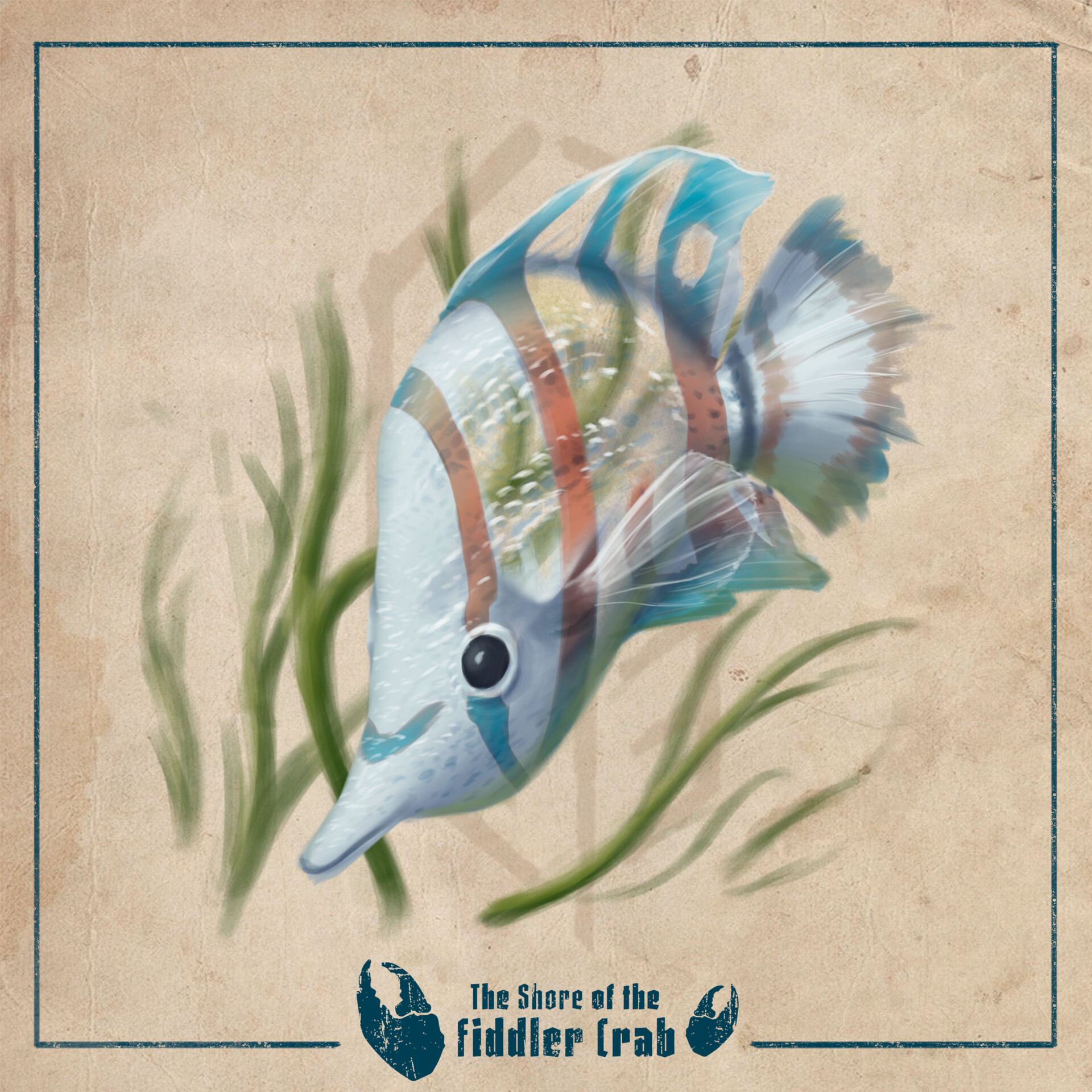 Felipe Bueno - Creatures from The Shore of The Fiddler Crab