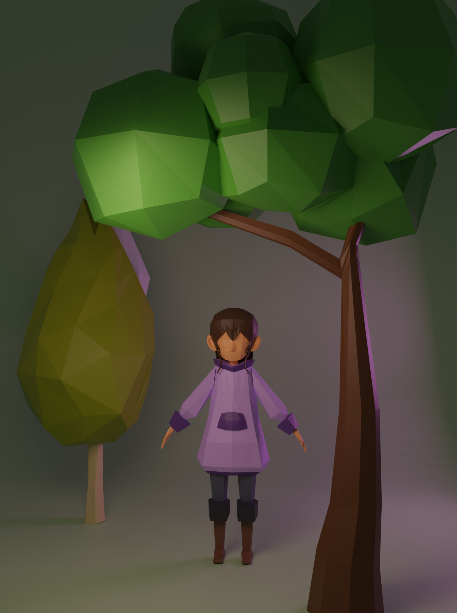 Chua Yue Xuan Amanda - Low Poly Girl 3D model, rig and render