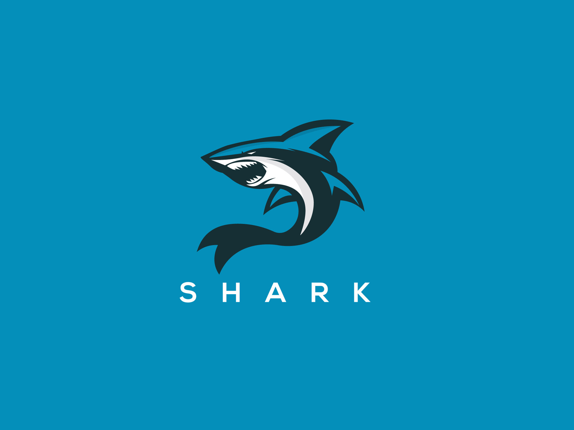 ArtStation - Shark Logo For Sale