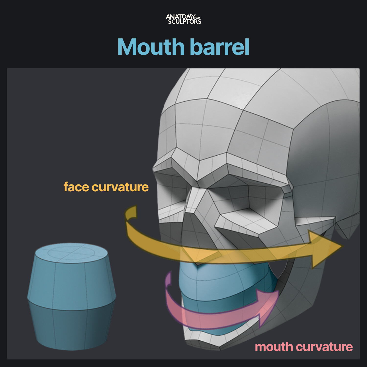 Anatomy For Sculptors - Curvature of the Mouth
