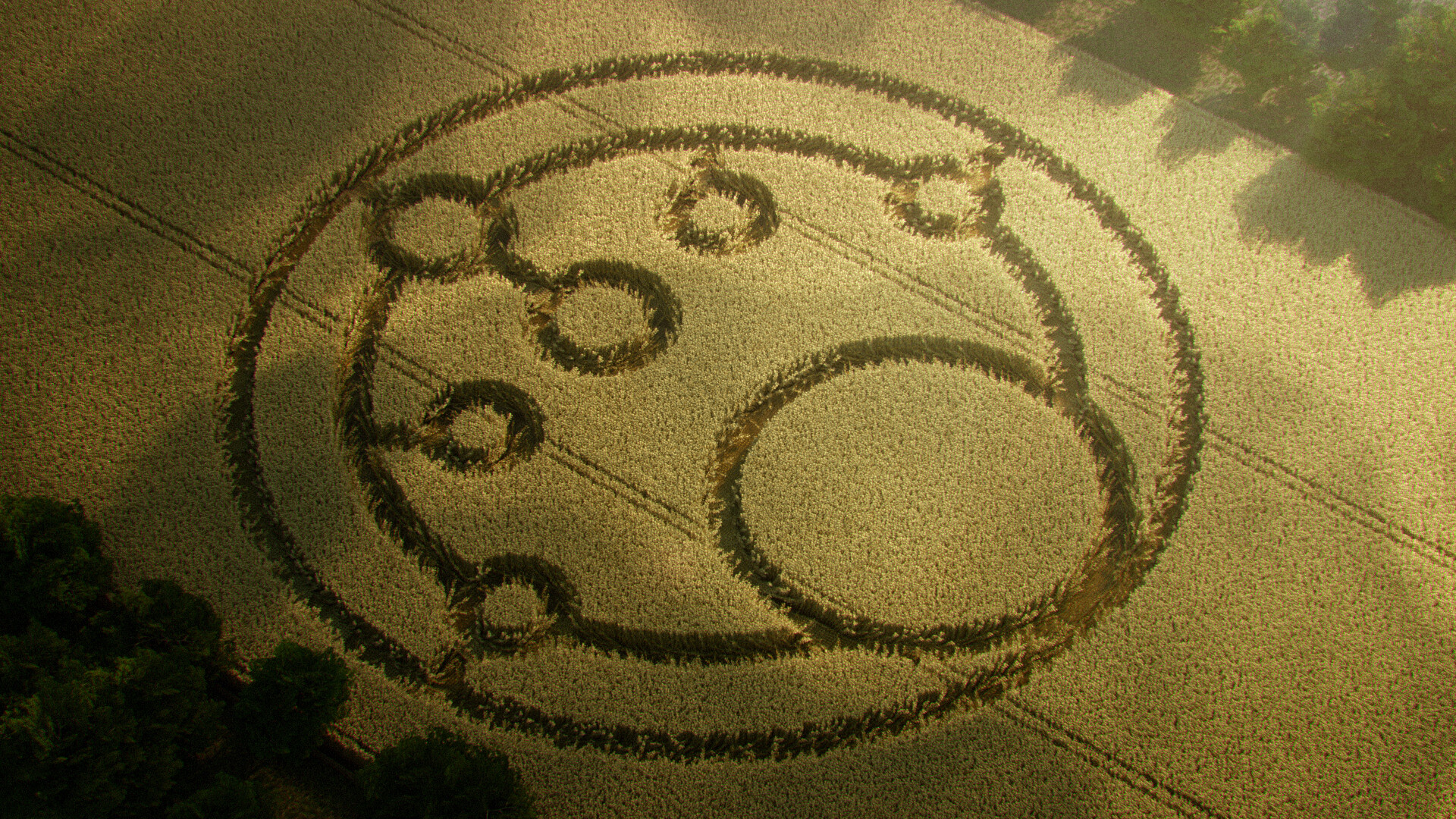 ArtStation - Crop Circles