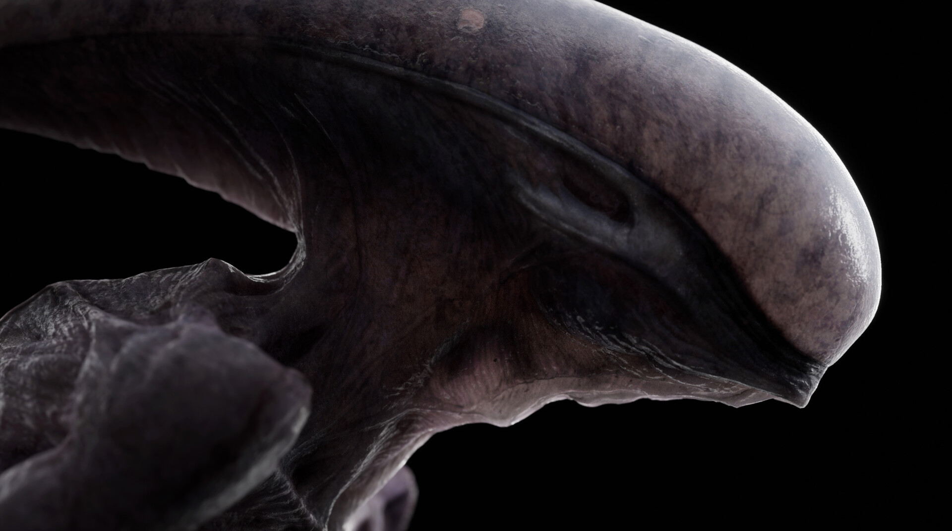 Jared Chavez - Neomorph - UE5