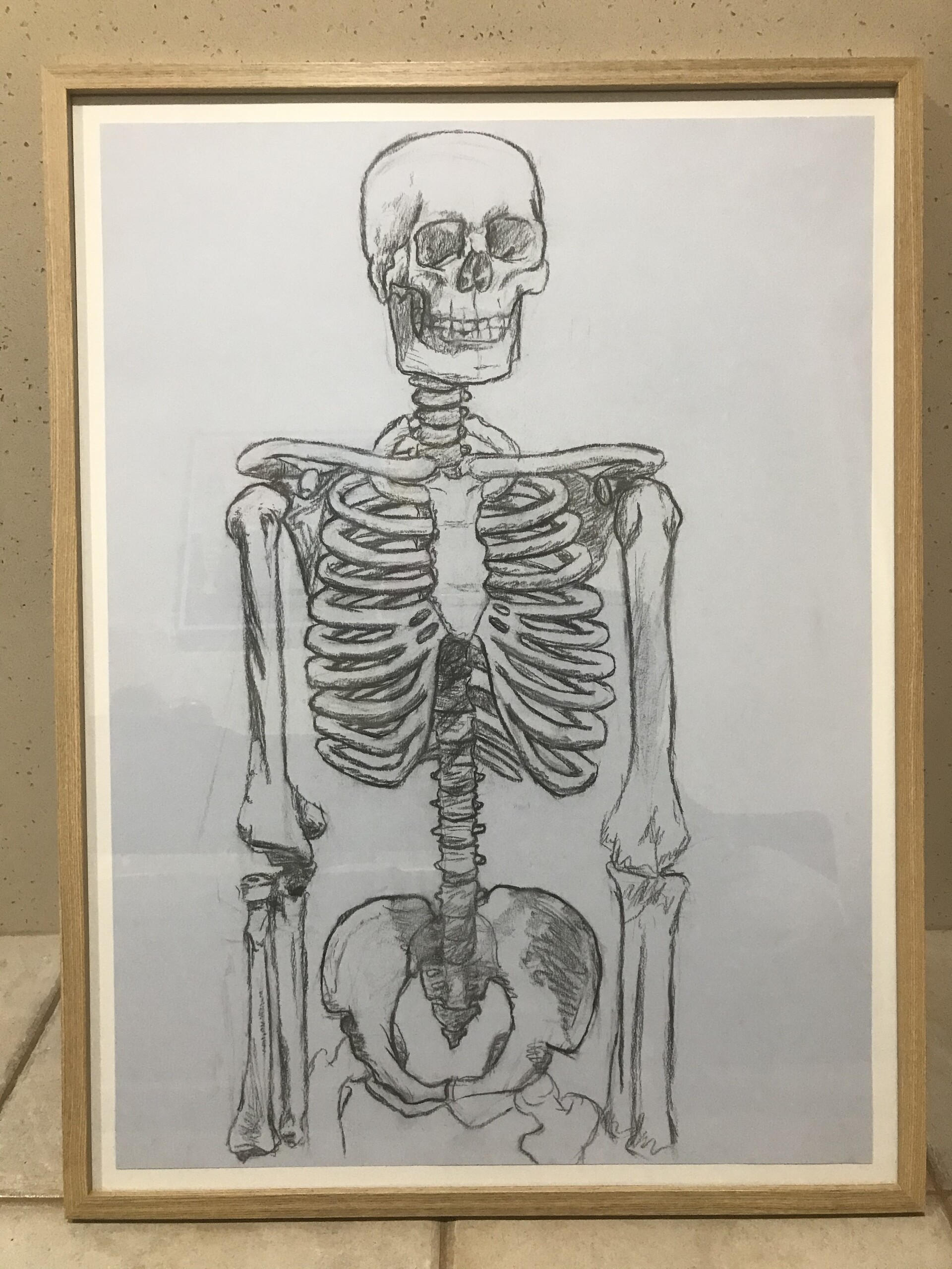 ArtStation - Skeleton Anatomy Study