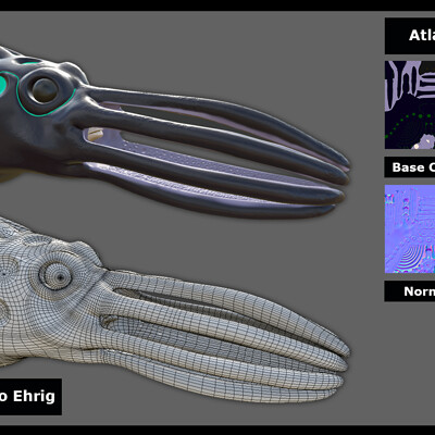 Matteo Ehrig - Portfolio