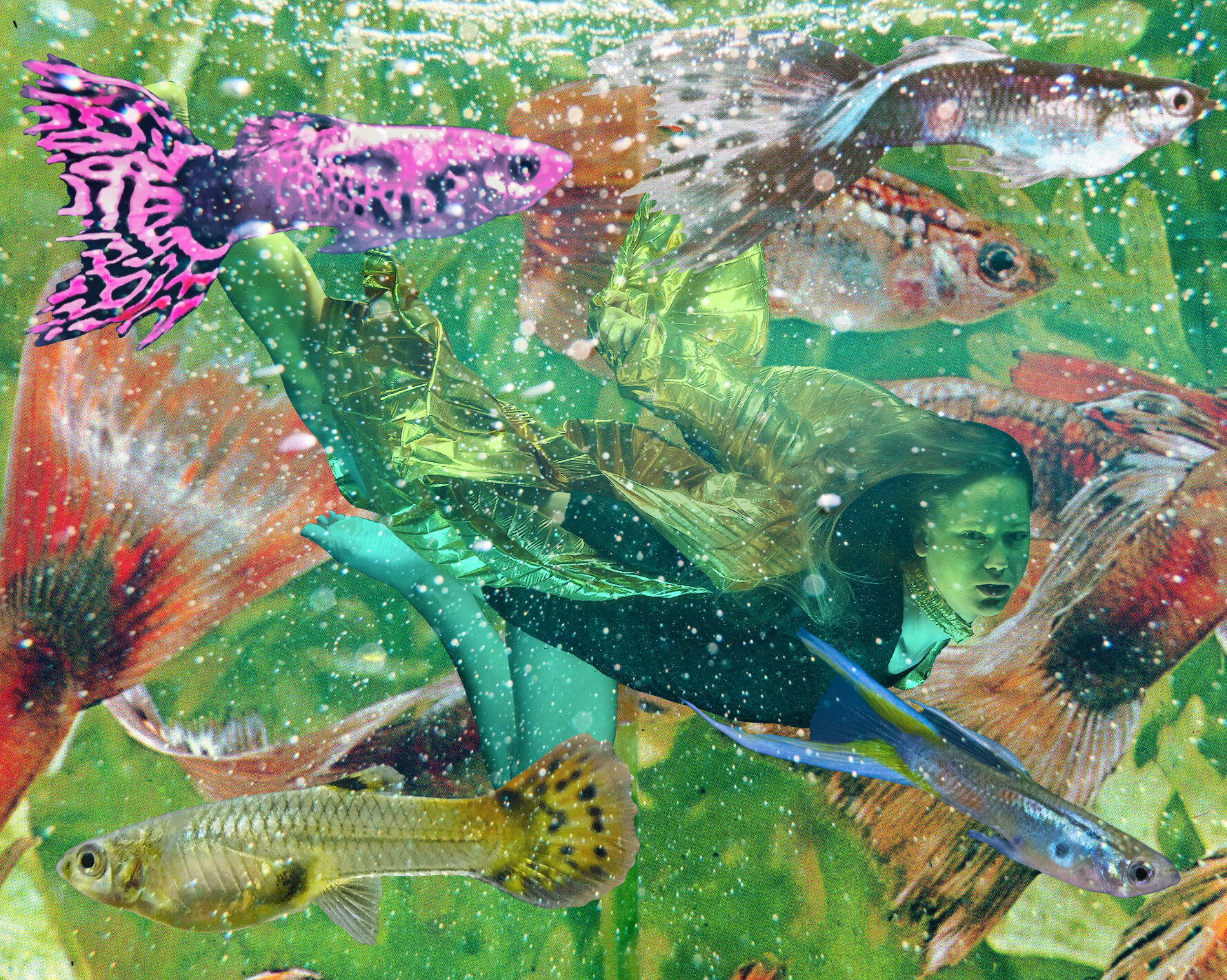 ArtStation - Guppy Aquarium