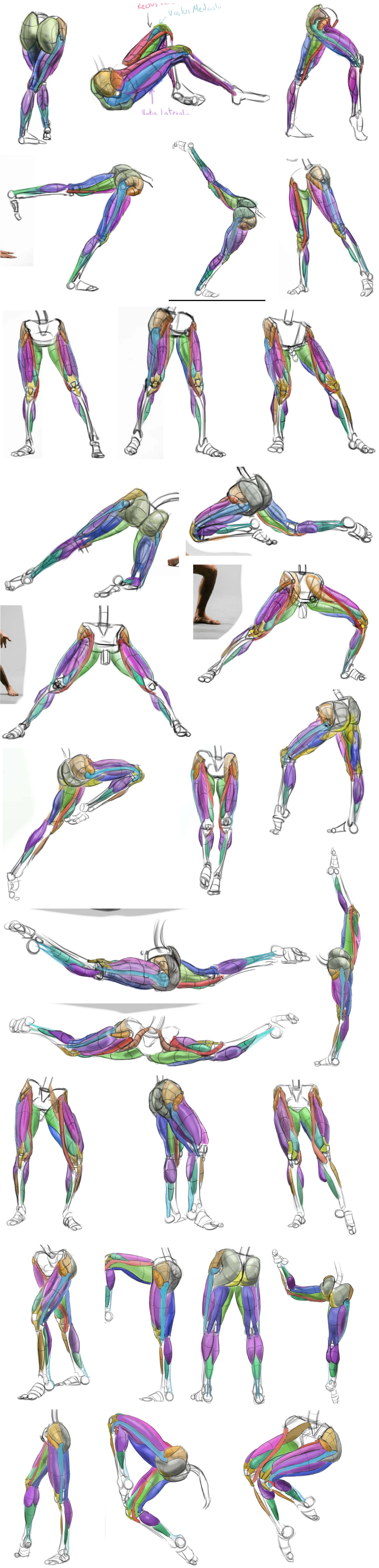 ArtStation - Leg Anatomy Studies