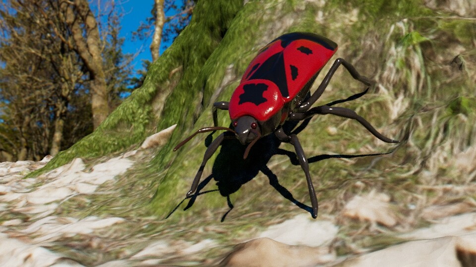 ArtStation - Pyrrhocoris apterus