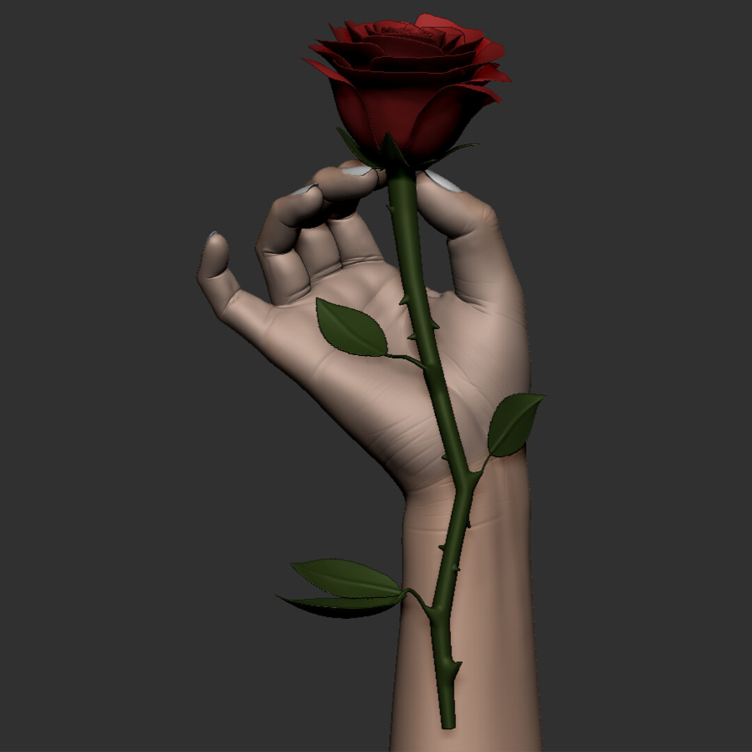 ArtStation - Hand Anatomy Study #2