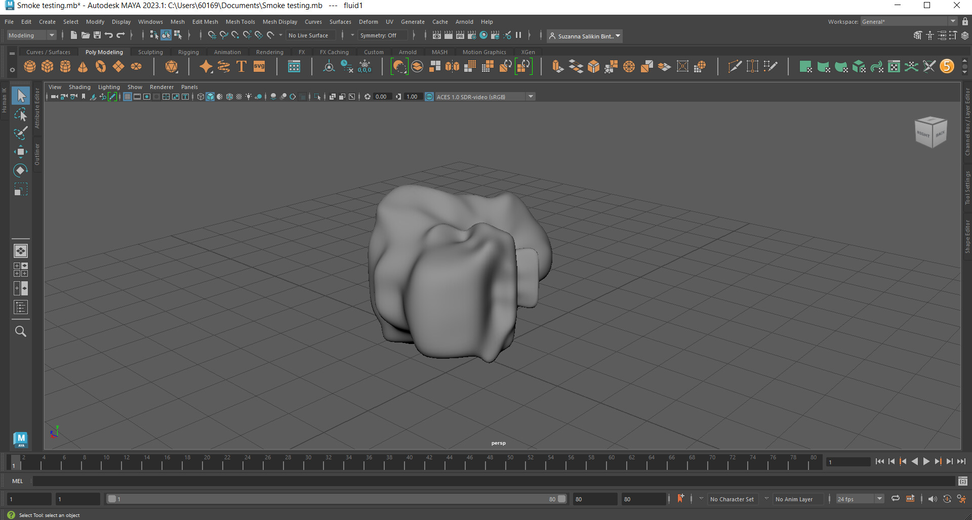 ArtStation - Assignment 1 a: Smoke exercise