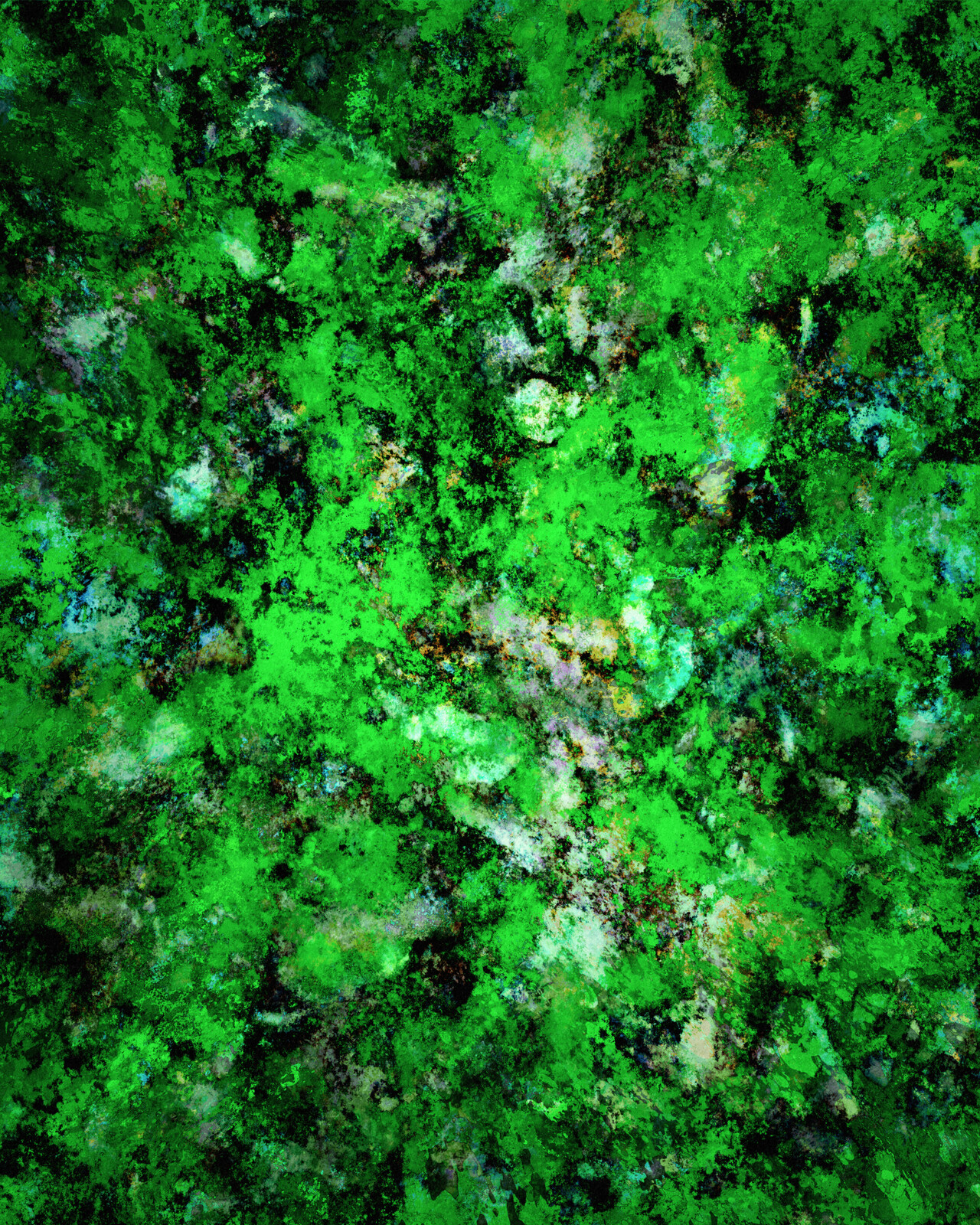 Keith Mills - Through the green forest