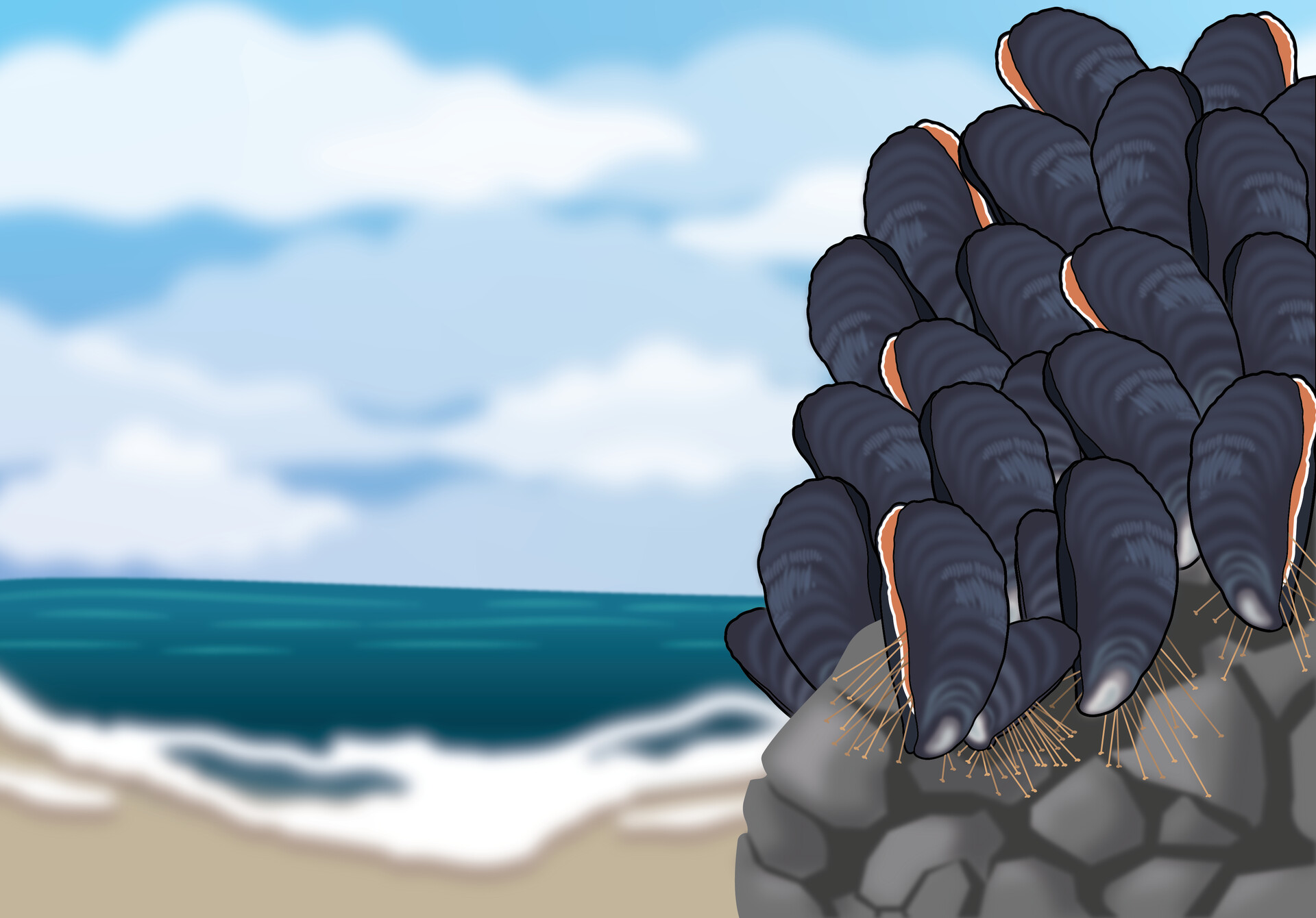 ArtStation - Blue Mussels Illustration