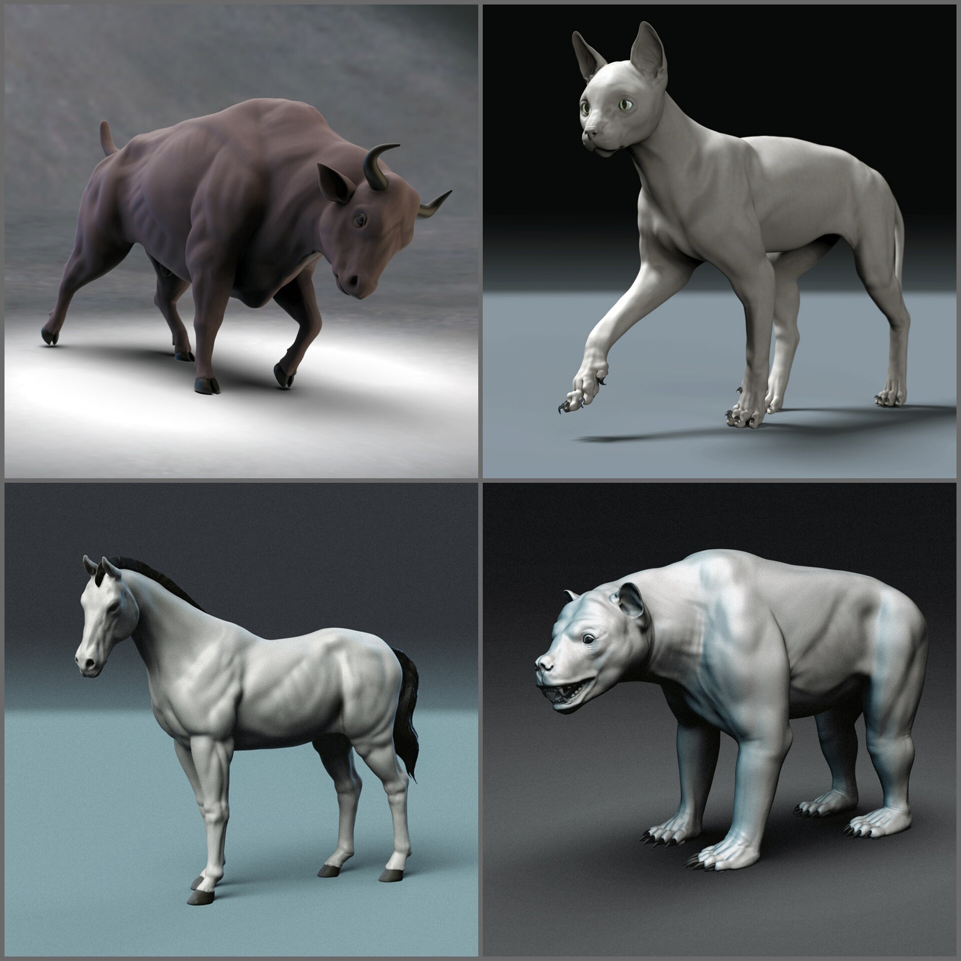 ArtStation - Animals anatomy study