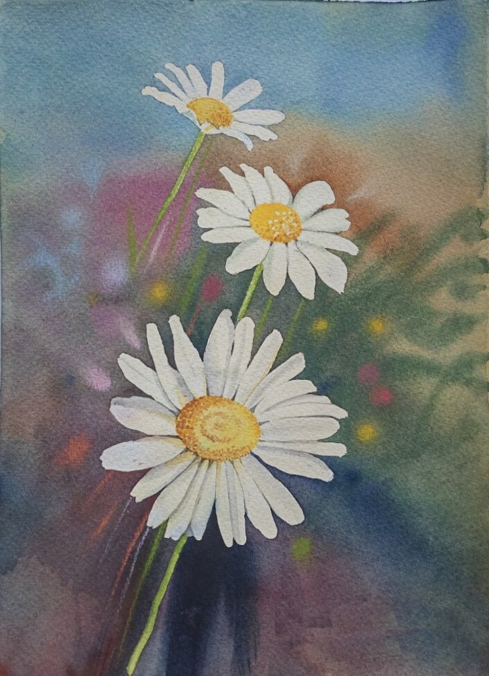 ArtStation - Daisy Watercolour