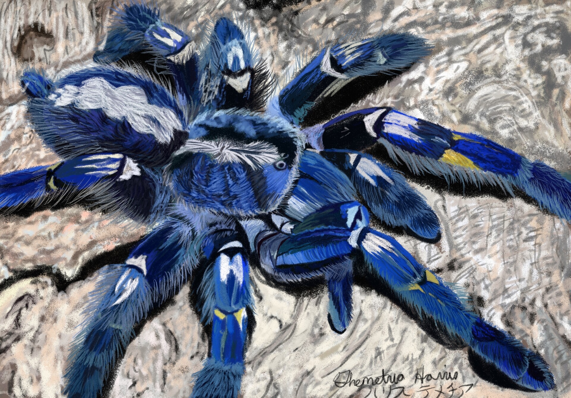 ArtStation - Blue cobalt tarantula