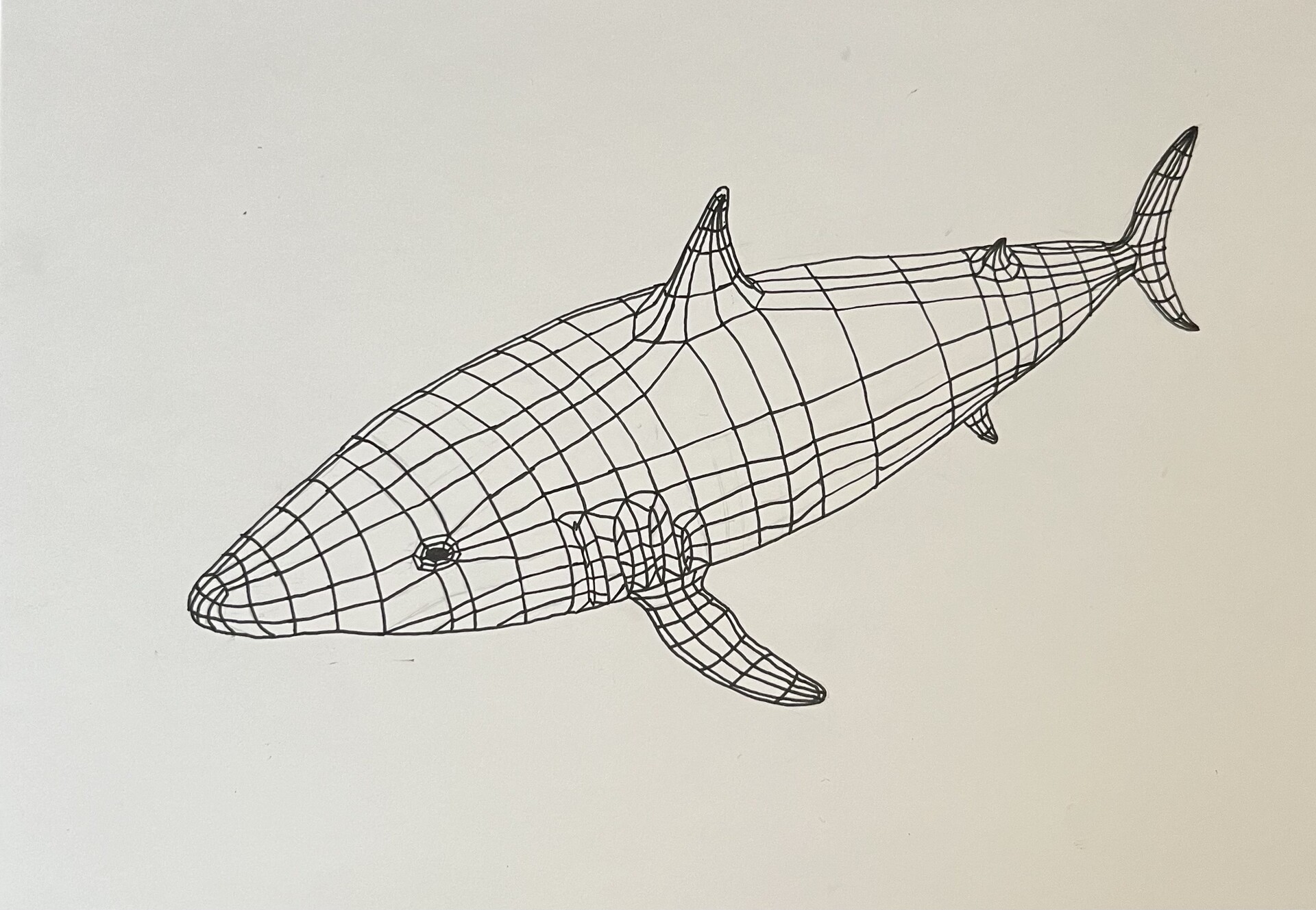 ArtStation - Mesh drawing