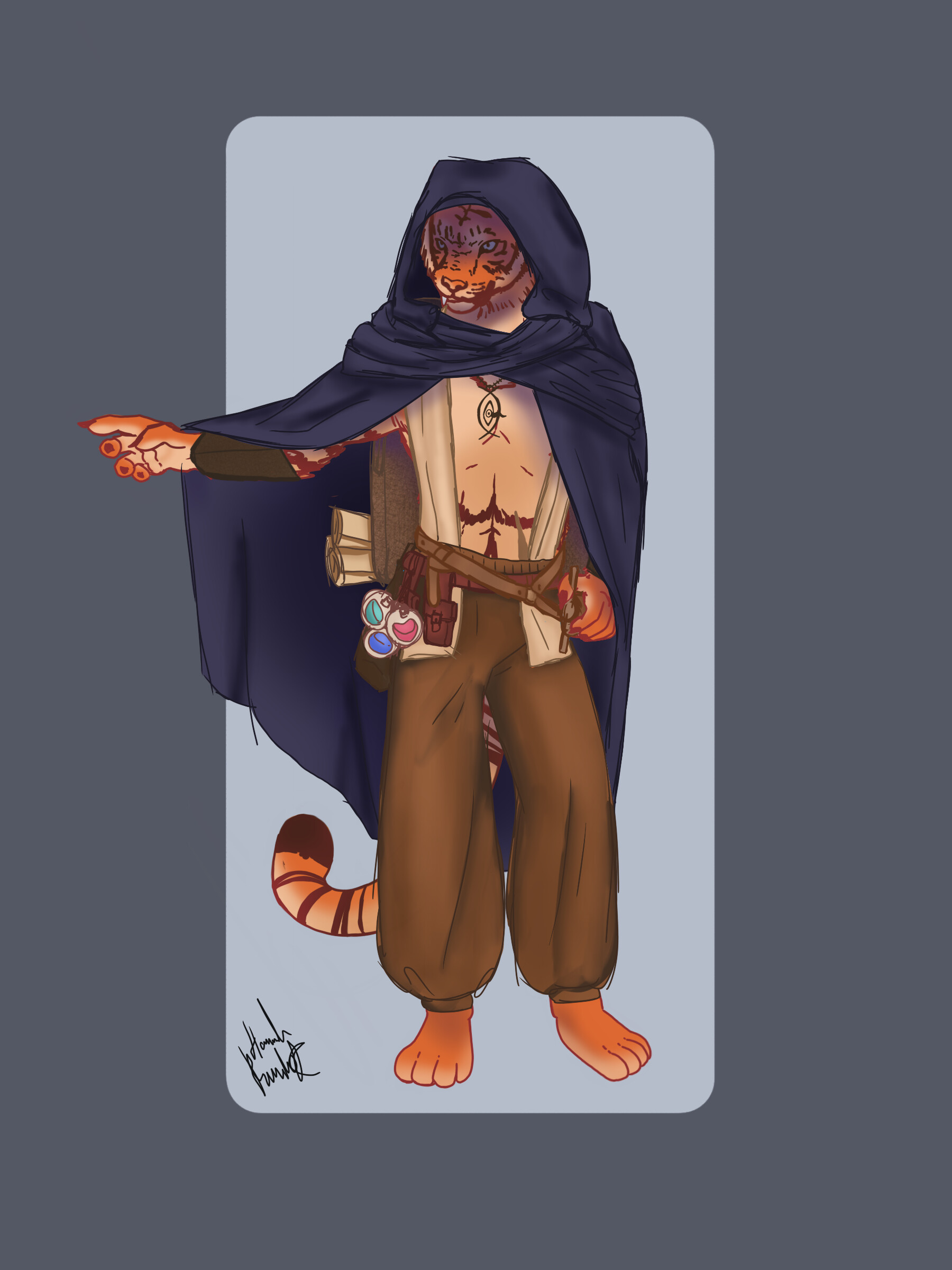 Hannah Kinscheck - Dnd Character Design Tiger Man