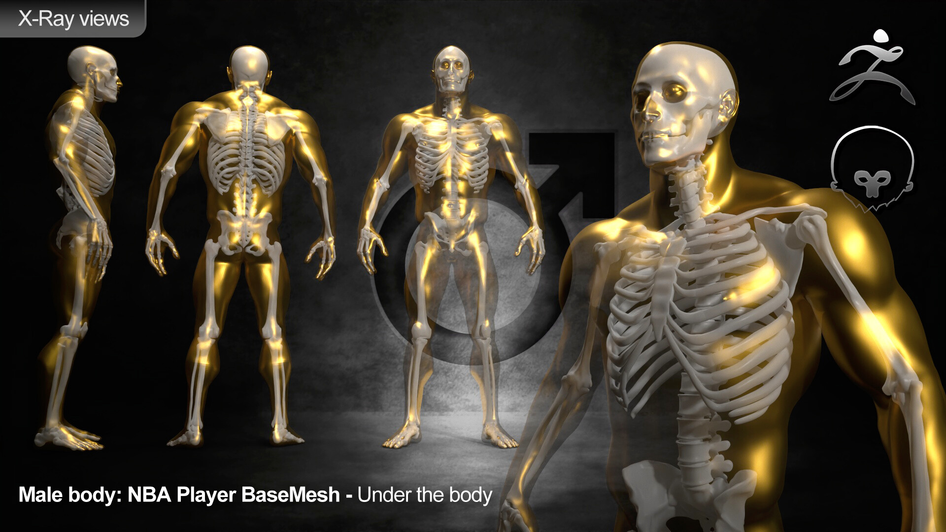 Gk ZPN - Human Male [ Body/Skin Basemesh ] NBA Player