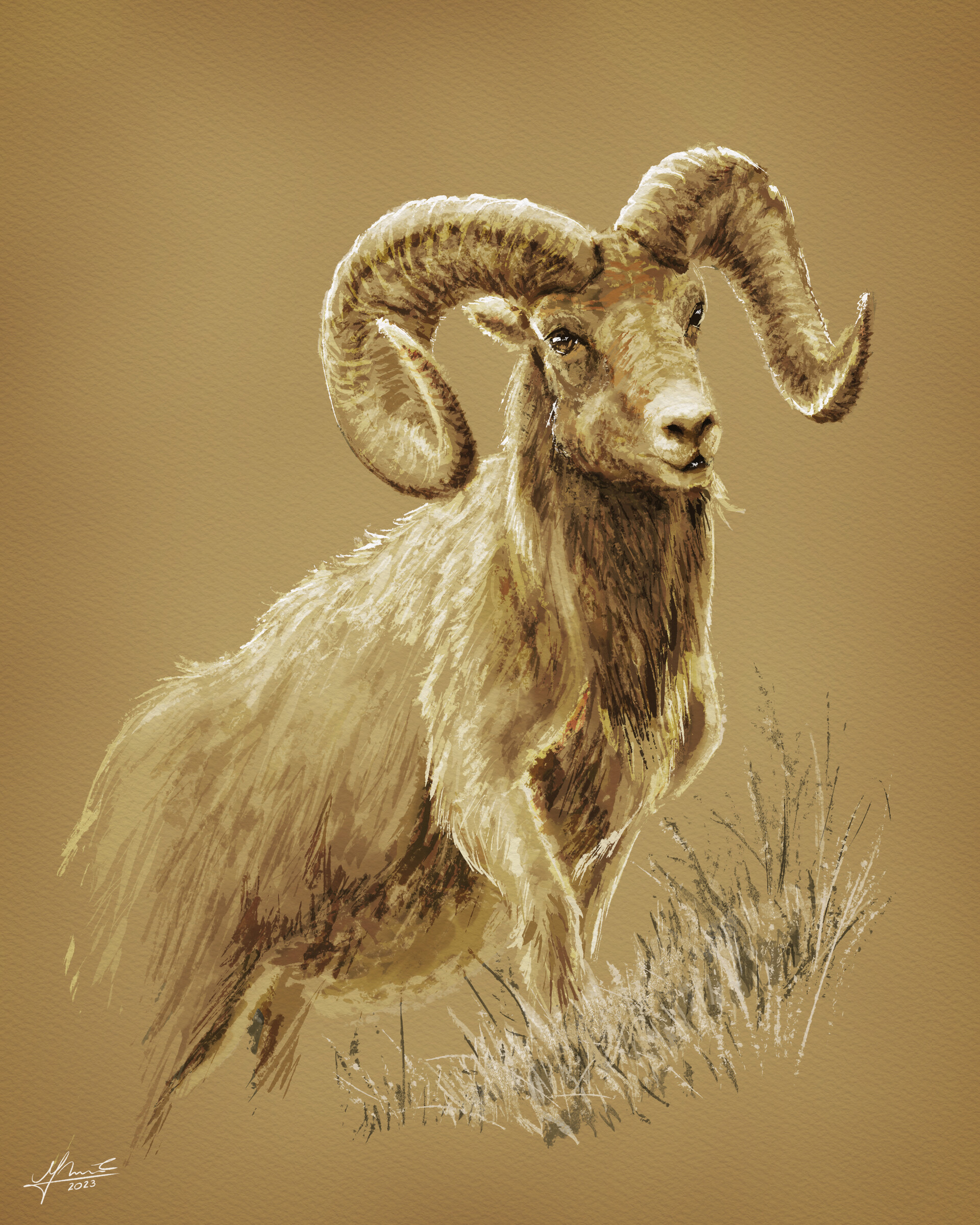 ArtStation - Bighorn Sheep Ram