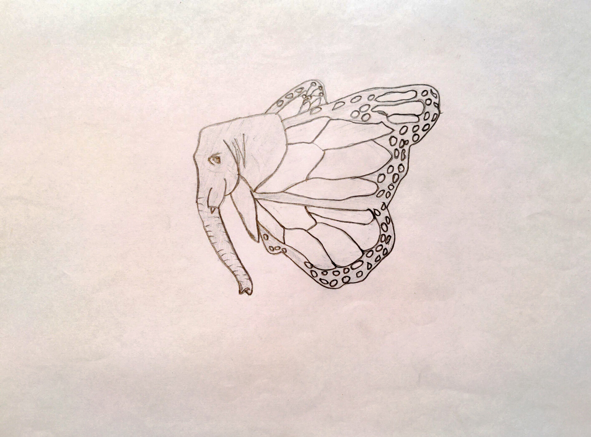 ArtStation - Elephant and Butterfly